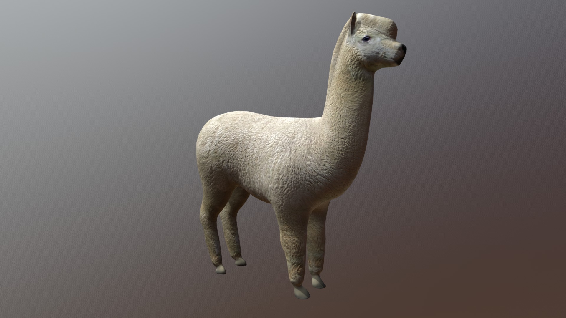 Llama - Buy Royalty Free 3D model by 3dlowpoly [6eeb296] - Sketchfab Store