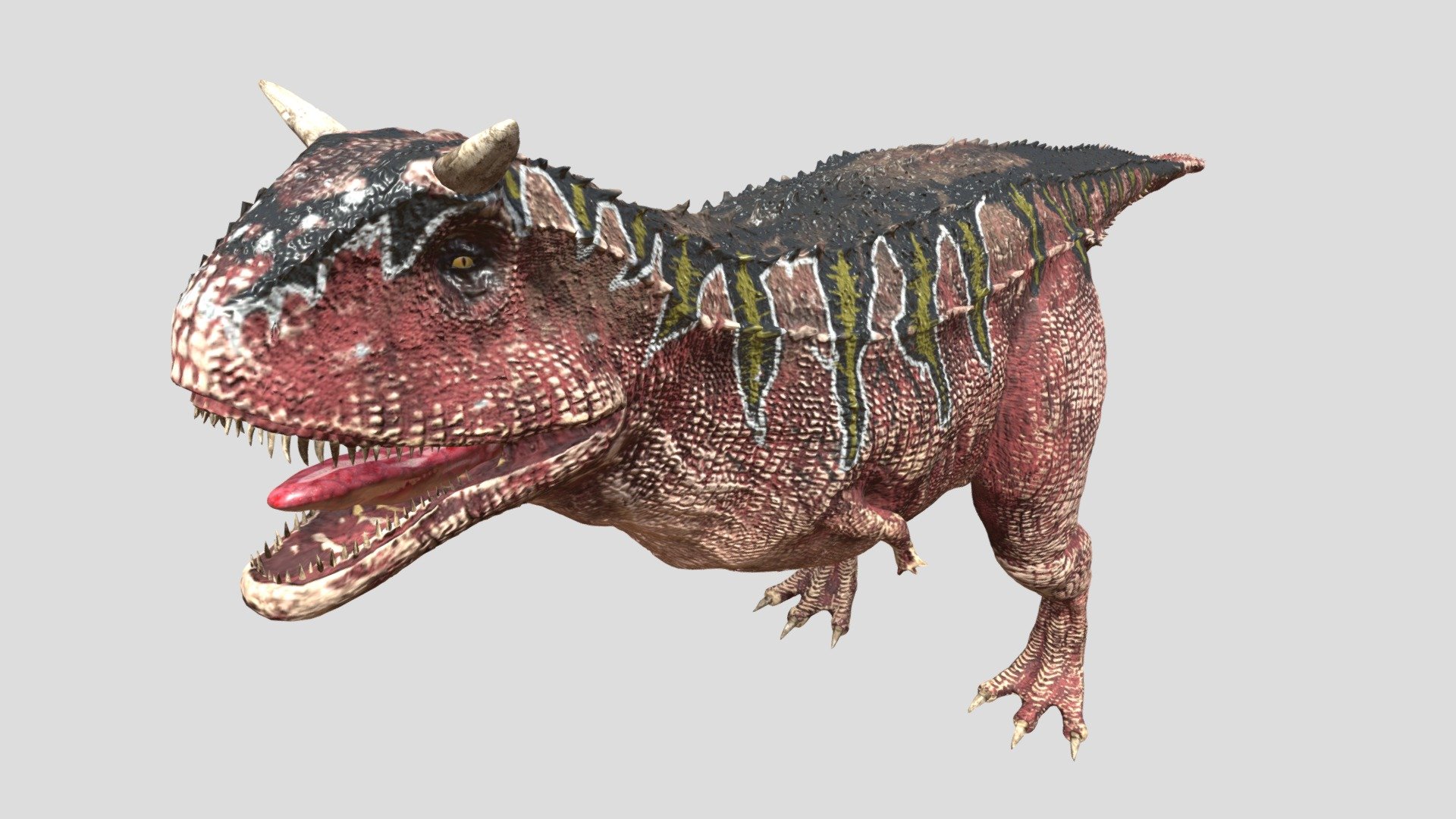 Carnotaurus - Download Free 3D model by Heshweshwe [6ef88bc] - Sketchfab