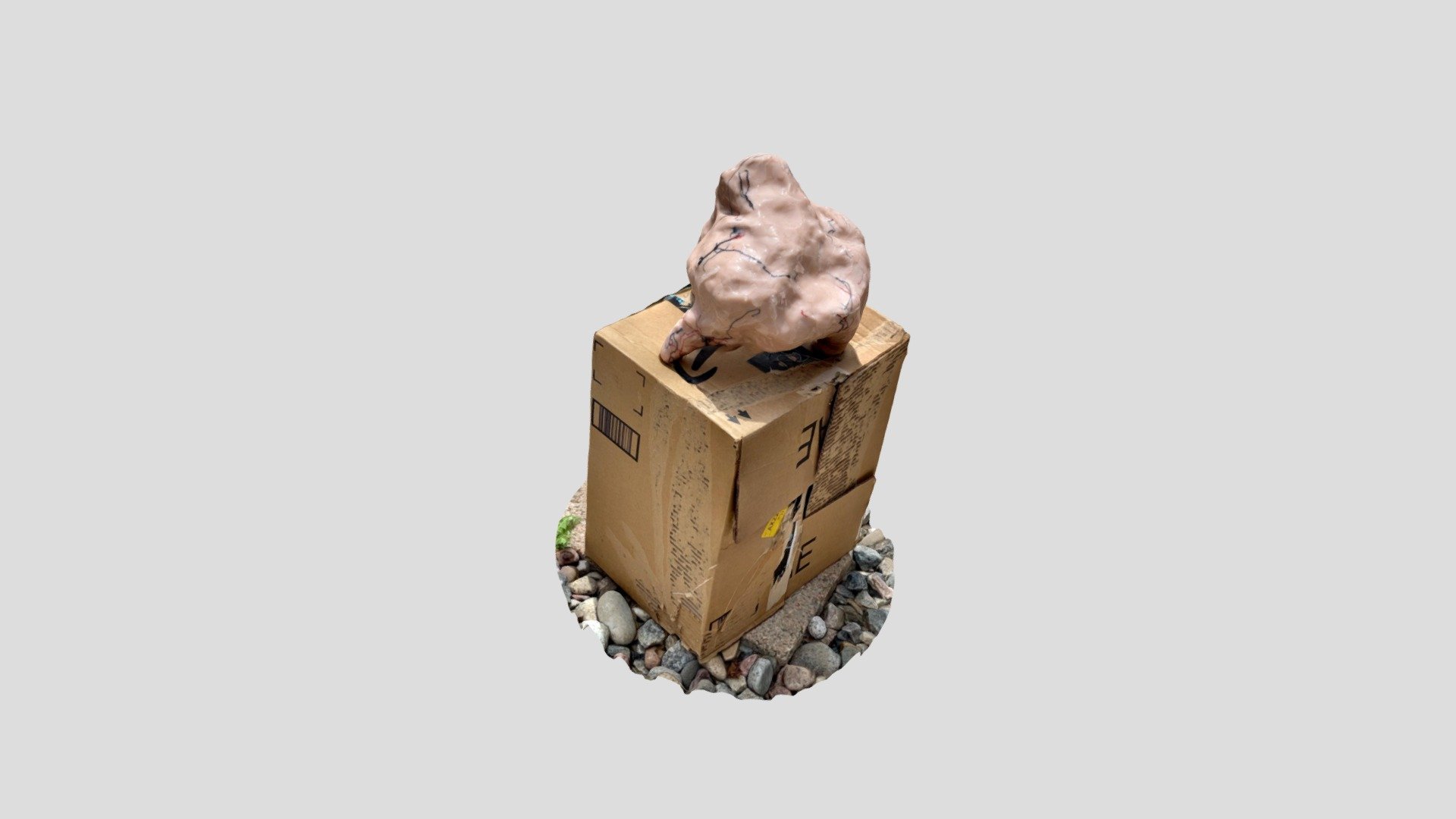 amazon 1 - Download Free 3D model by Mlethe [6eff7dd] - Sketchfab