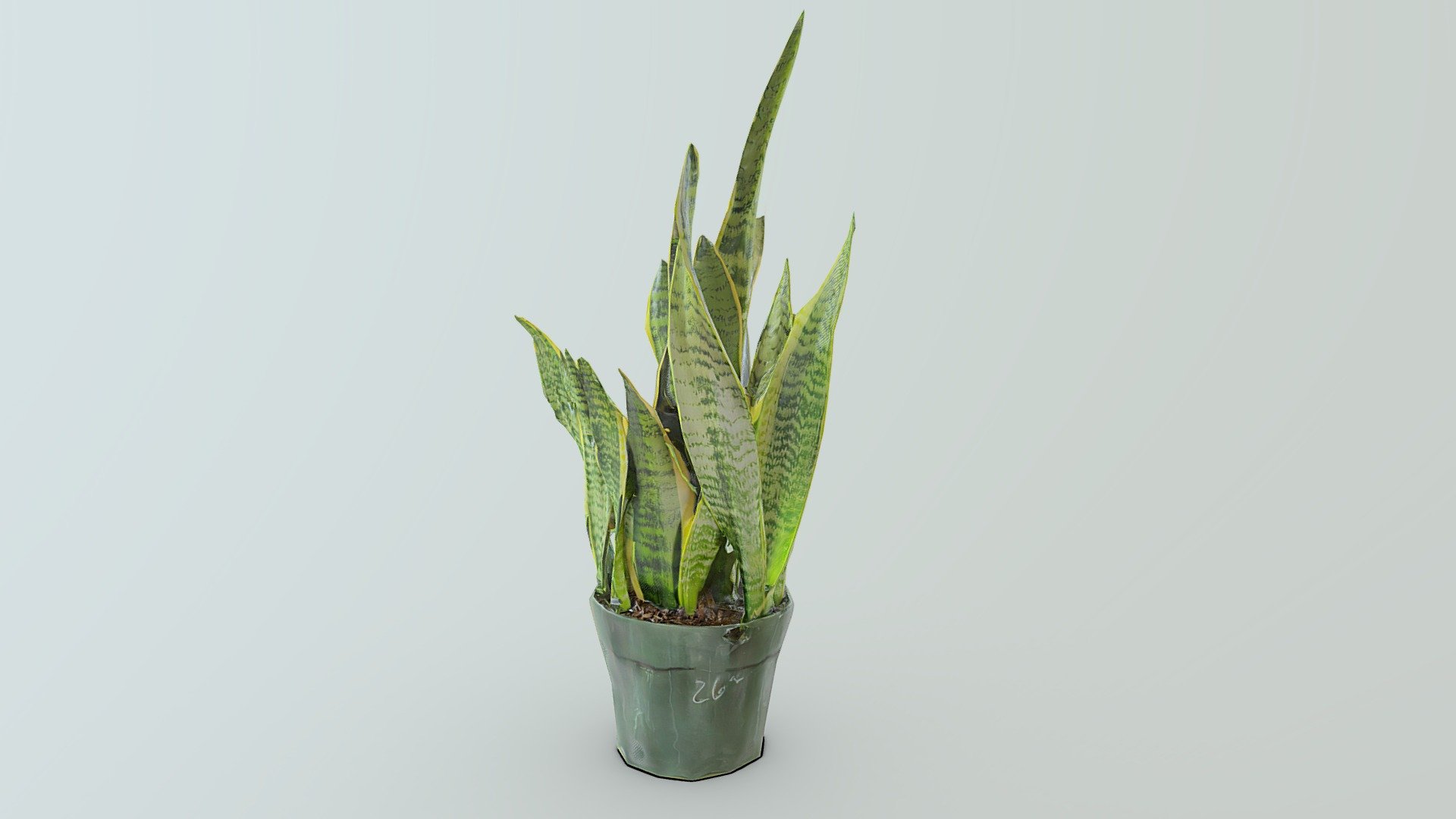 Snake plant scan LOWPOLY - Download Free 3D model by EFX (@evan4129 ...