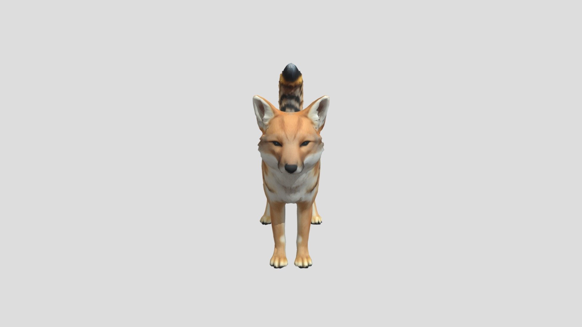 Culpeo Fox - Download Free 3D model by Raven-Woods [6f144fe] - Sketchfab