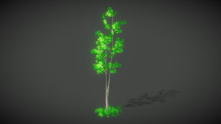 Weeb 3D models - Sketchfab