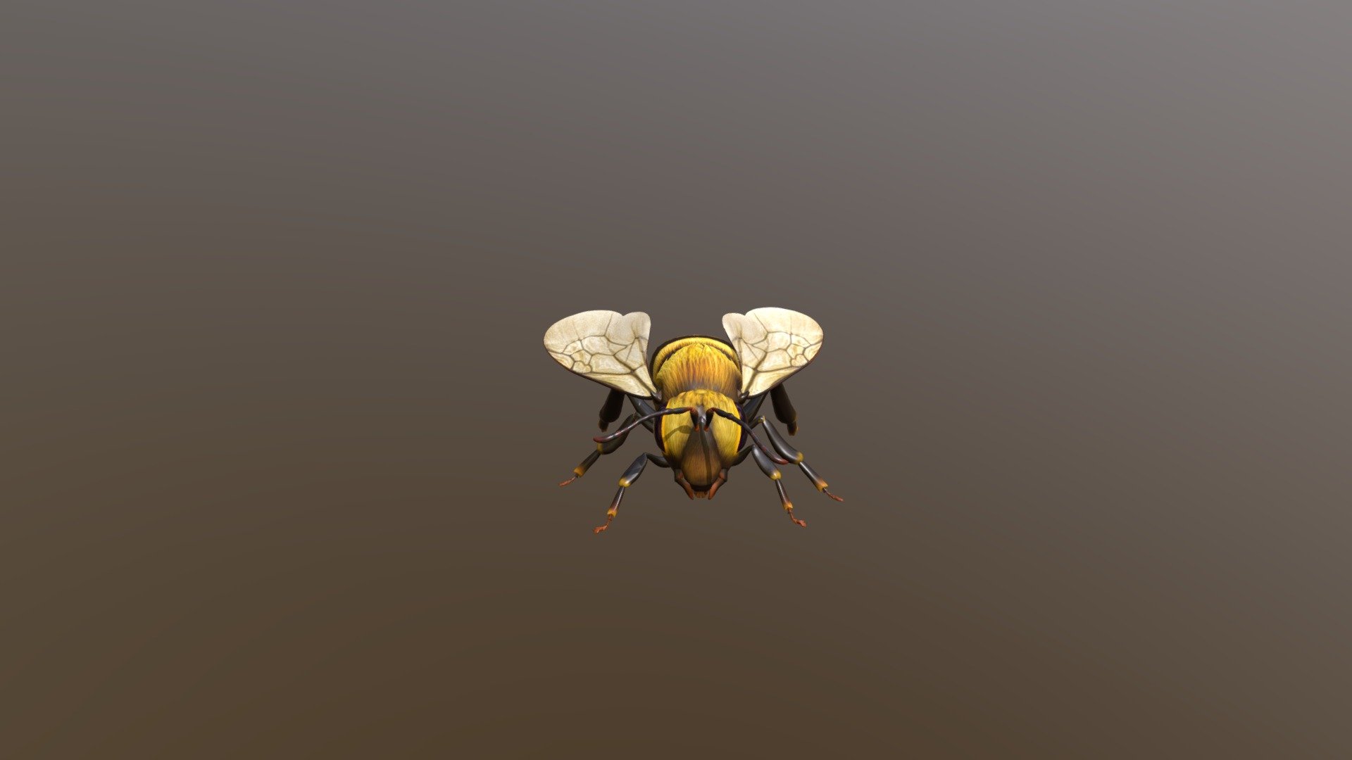 Bee - Download Free 3D model by ScienceTle (@science.tle999) [6f2fef8 ...