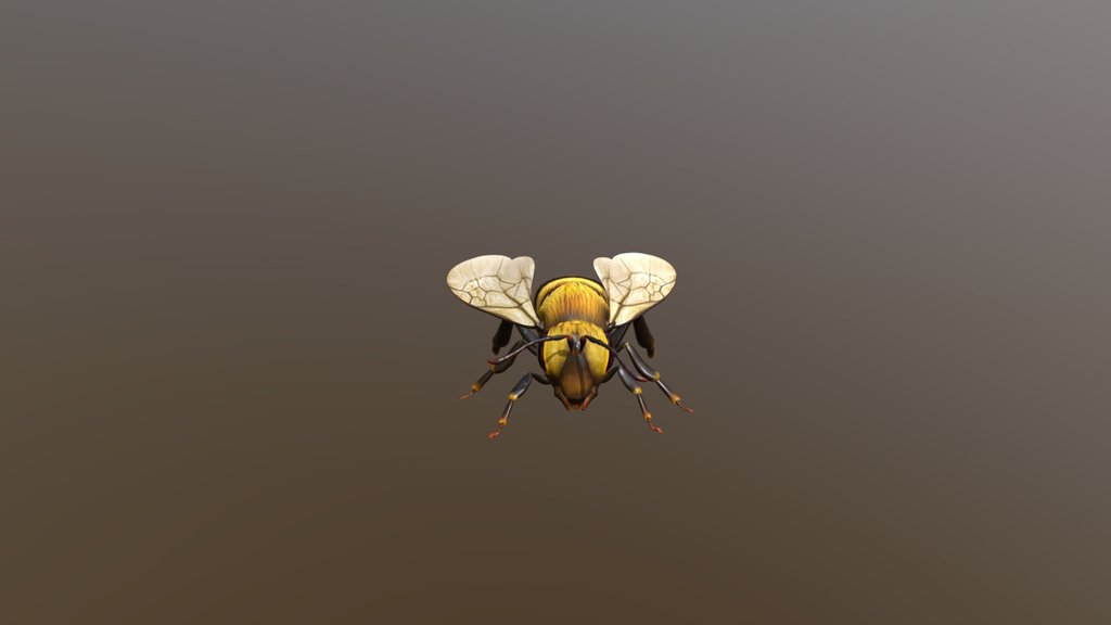 Insects - A 3D model collection by aastle - Sketchfab