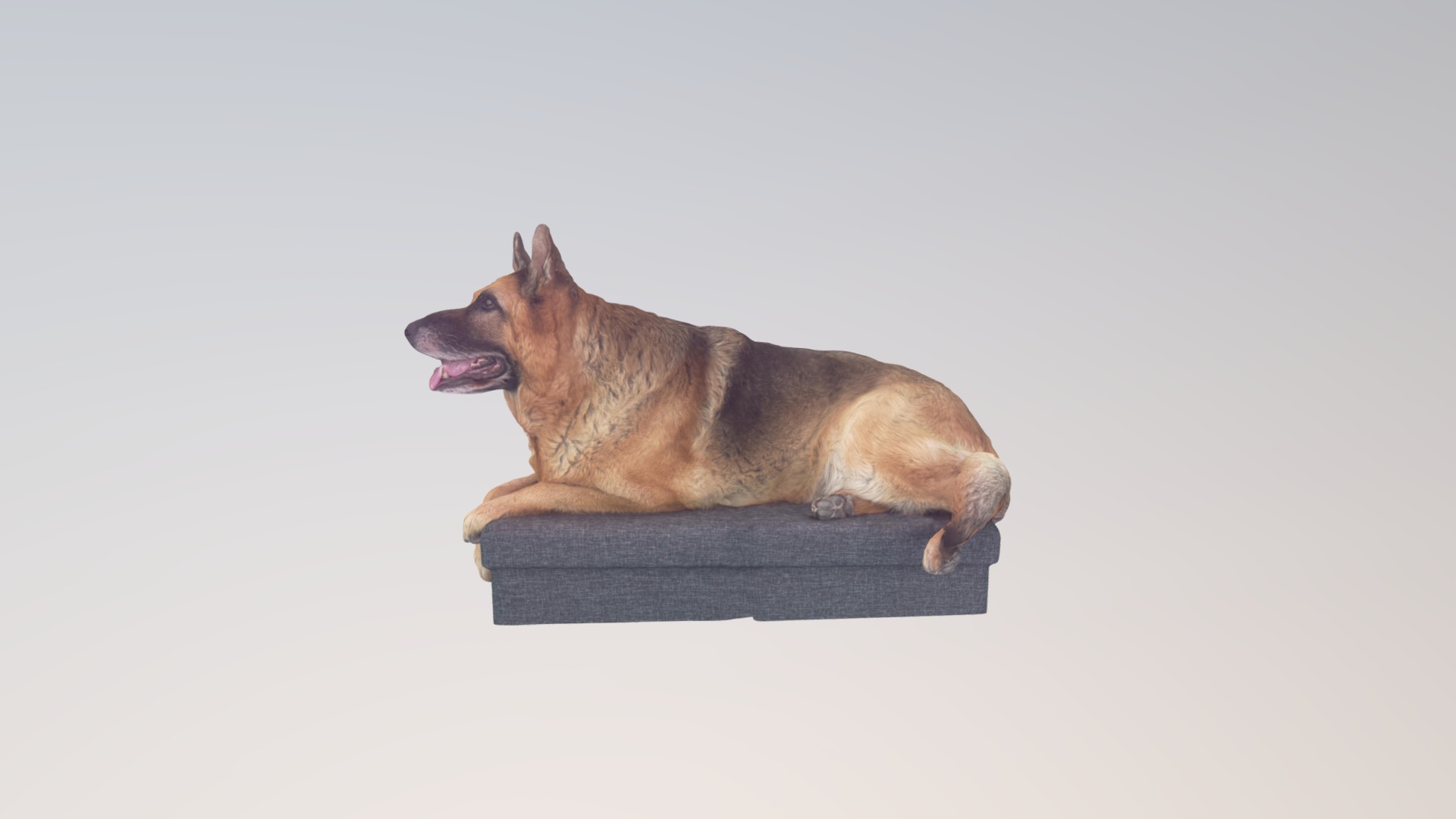 Steven's Dog - 3D model by Holodeck 3D Studios (@Holodeck3DStudios ...