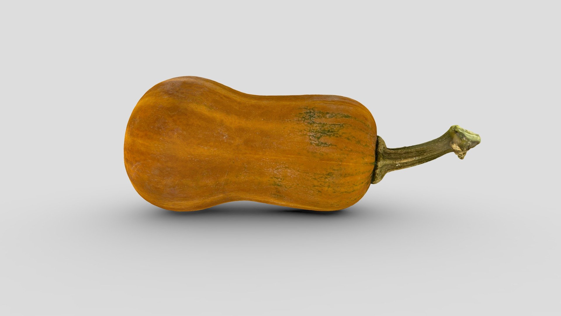 Honeynut Squash - Download Free 3D model by Terrie Simmons-Ehrhardt ...