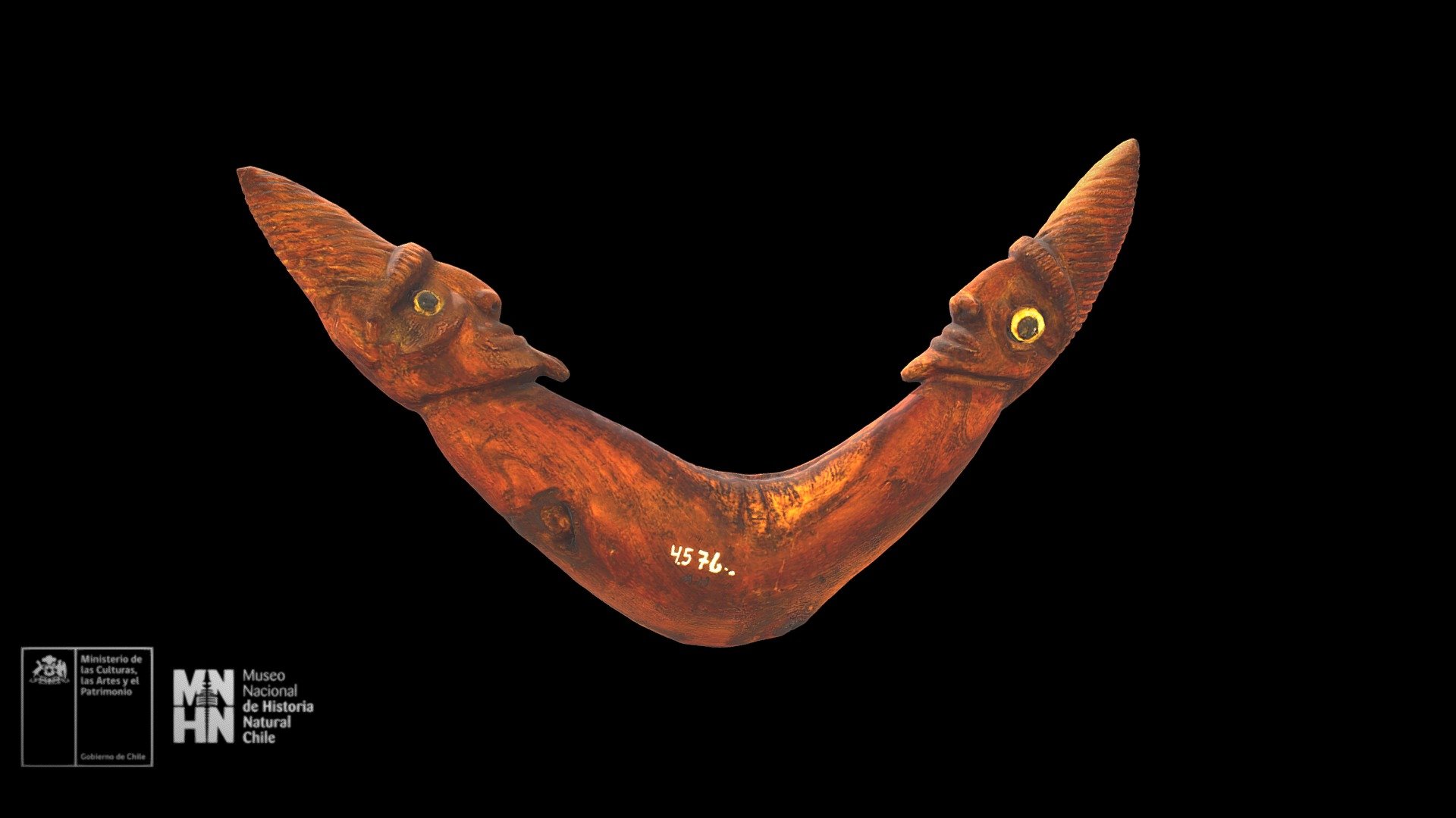 Reimiro - Download Free 3D model by Museo Nacional de Historia Natural ...