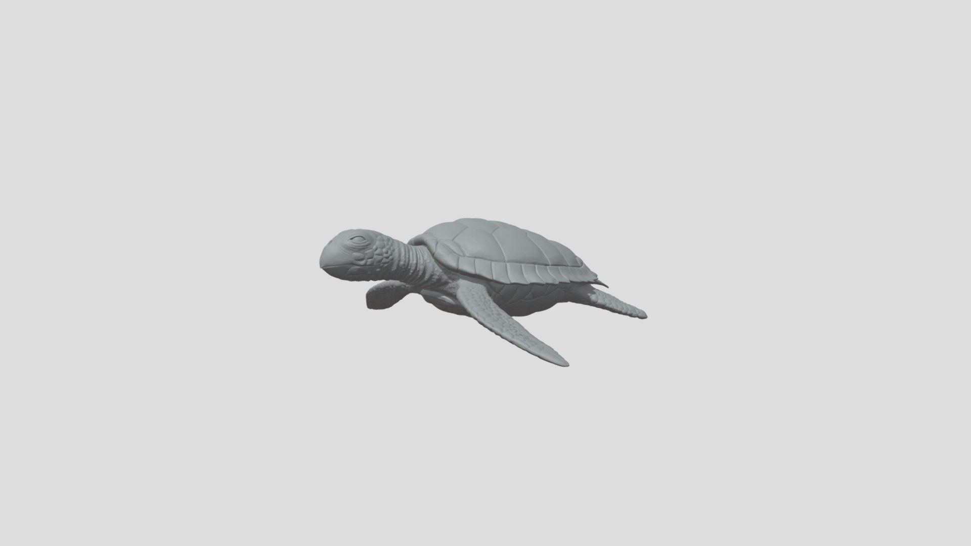 Green Sea Turtle - 3D model by Digital.Dope [6f359b6] - Sketchfab