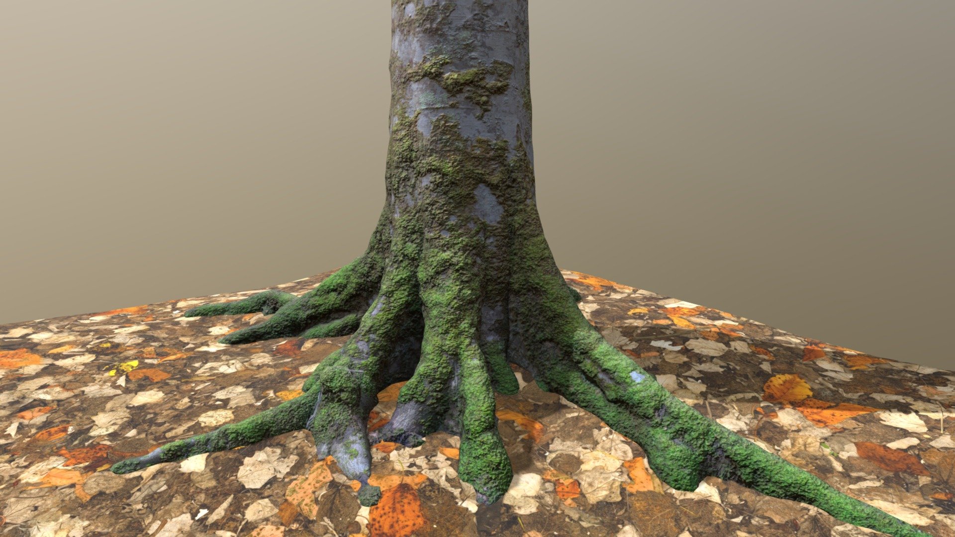 Mossy Tree Trunk - Download Free 3D model by martinwaters [6f3d691 ...