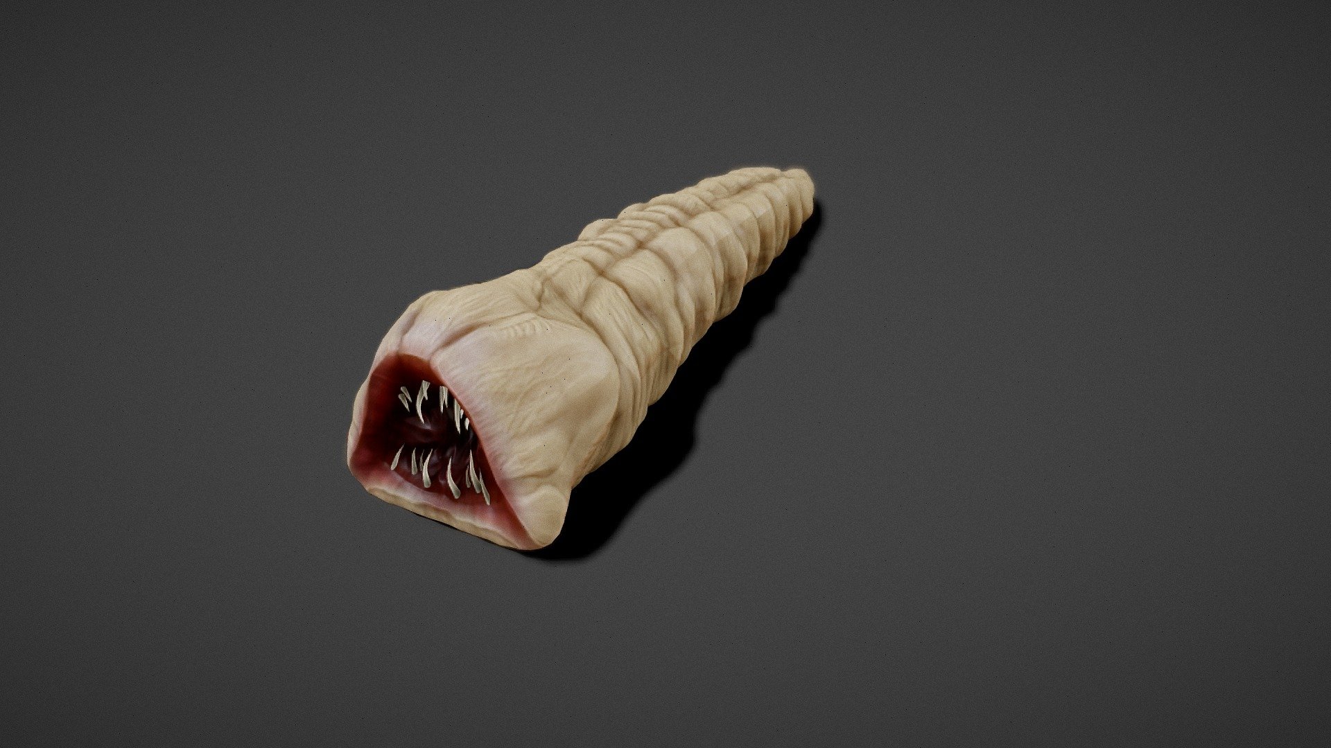 Sand Wormlet - 3D model by cyrusjameskhan (@cybercyrus) [6f41b22 ...