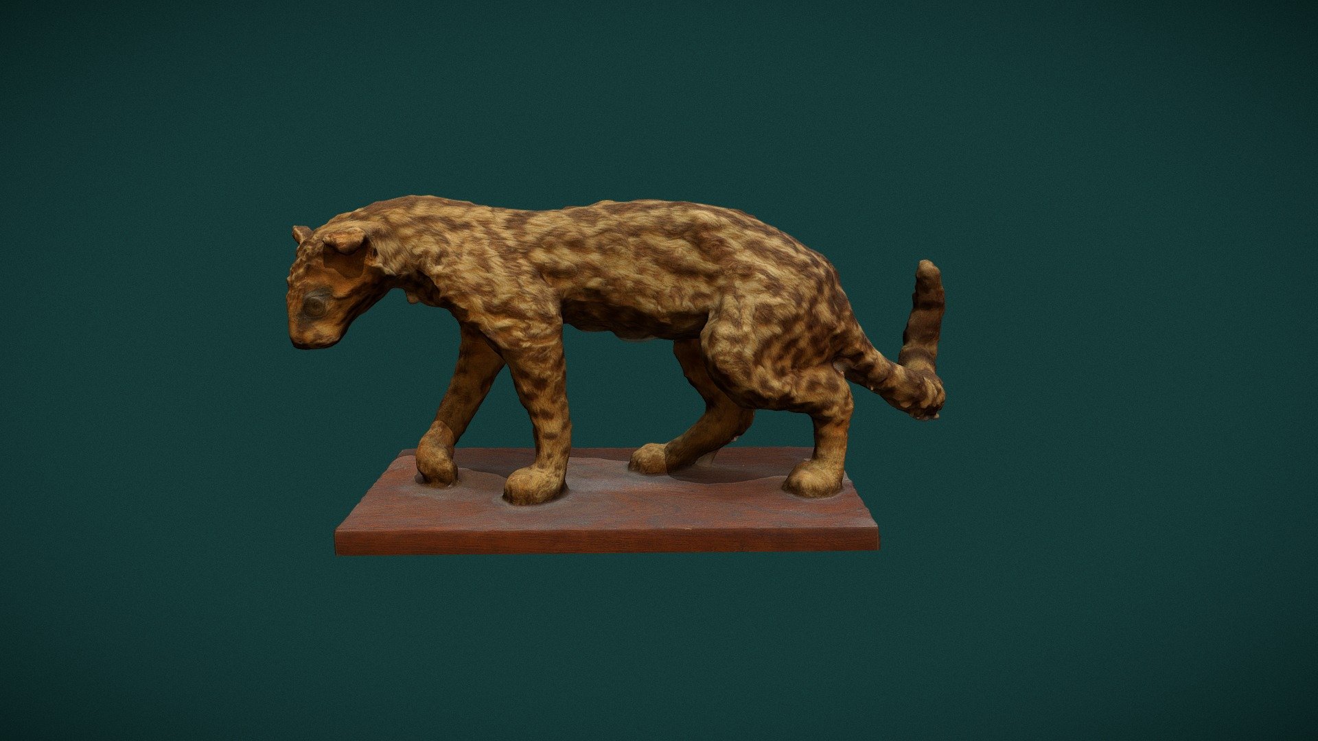 Ocelot - 3D model by Canopée des Sciences (@parmentier) [6f44fff ...