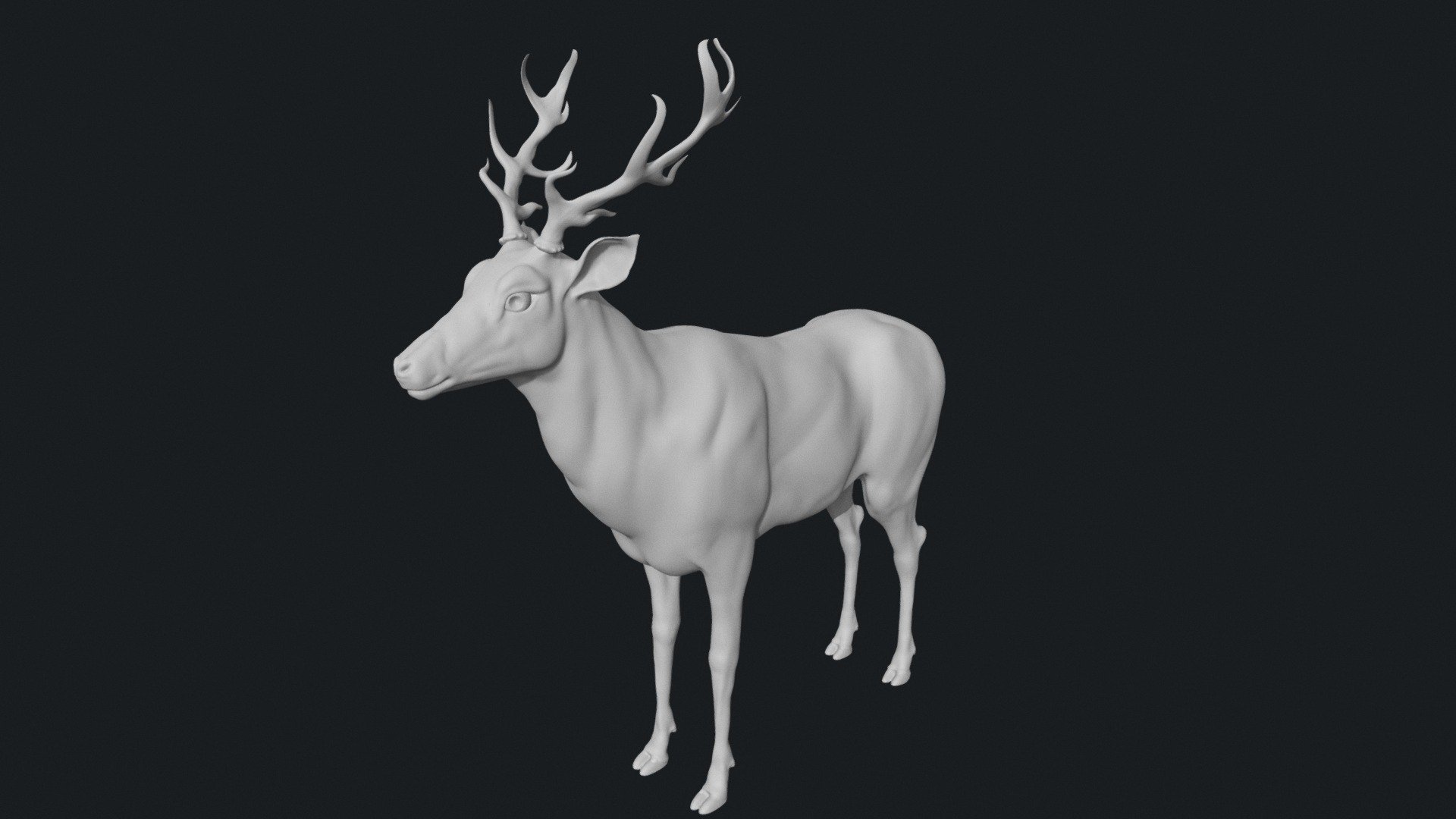 Red Deer Anatomical Sculpt - 3D model by maxime-baron [6f47609] - Sketchfab