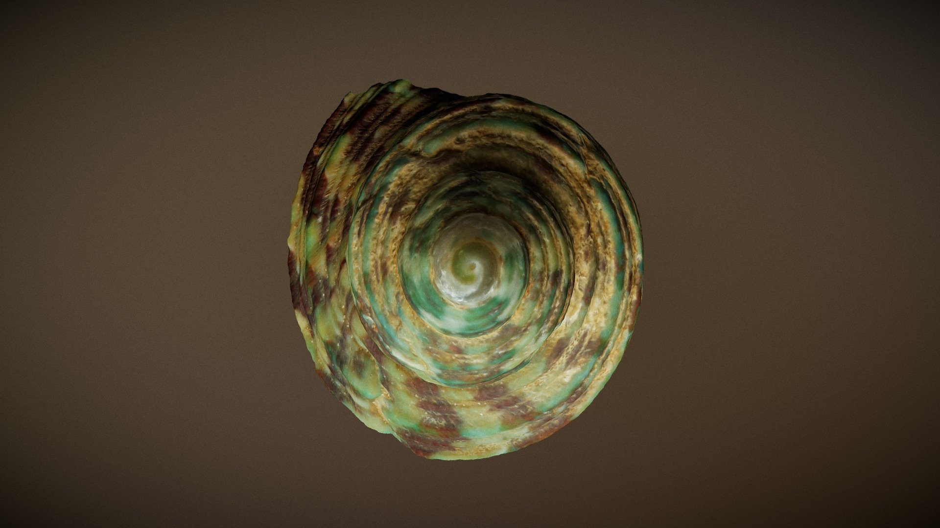 Tiny Green Shell (HighRez) - Download Free 3D model by iamchris1134 ...