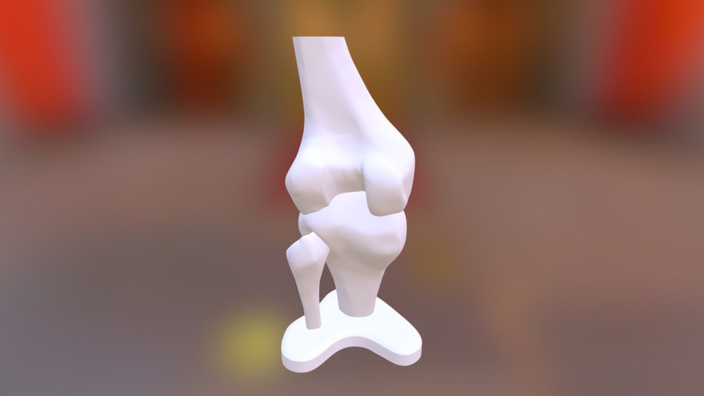 Knee Joint - 3D model by Artify3d [6f60b55] - Sketchfab