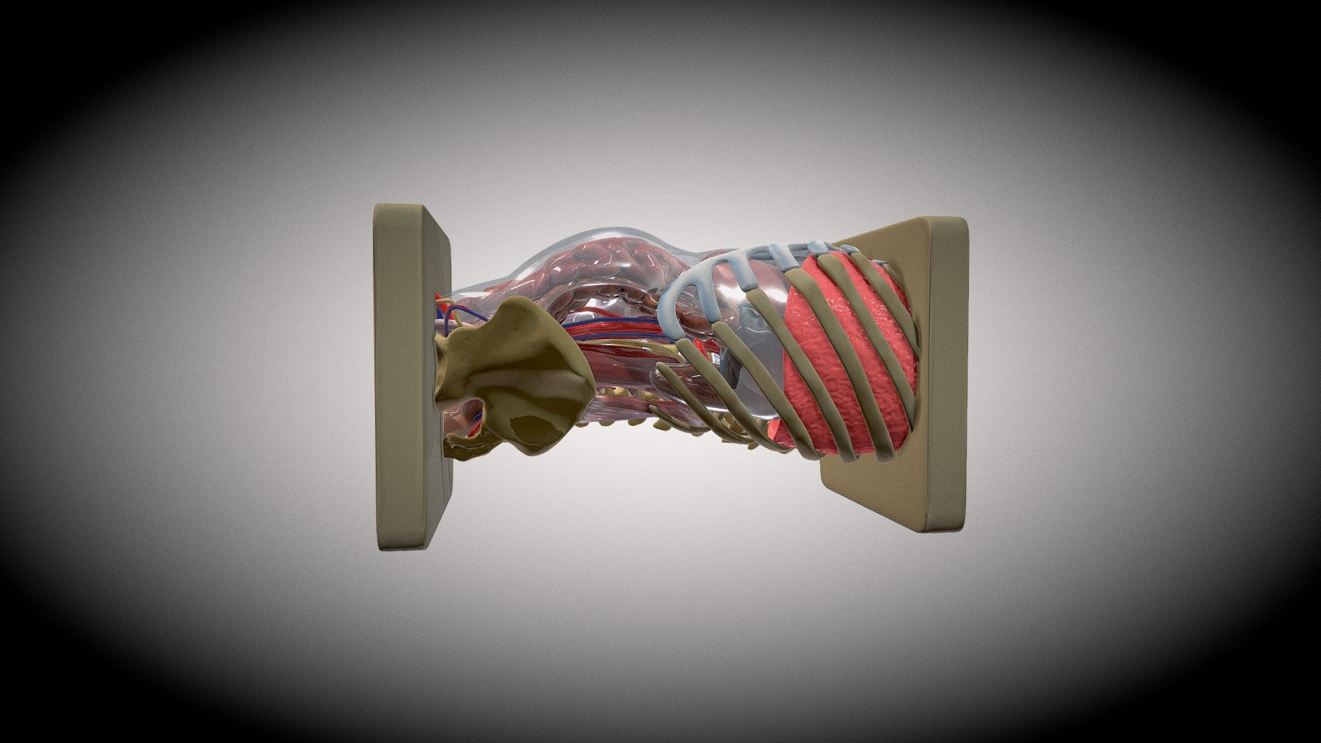 EXPERTS 3D model - 3D model by blendedlearning @LTHTR (@blendedlearning ...