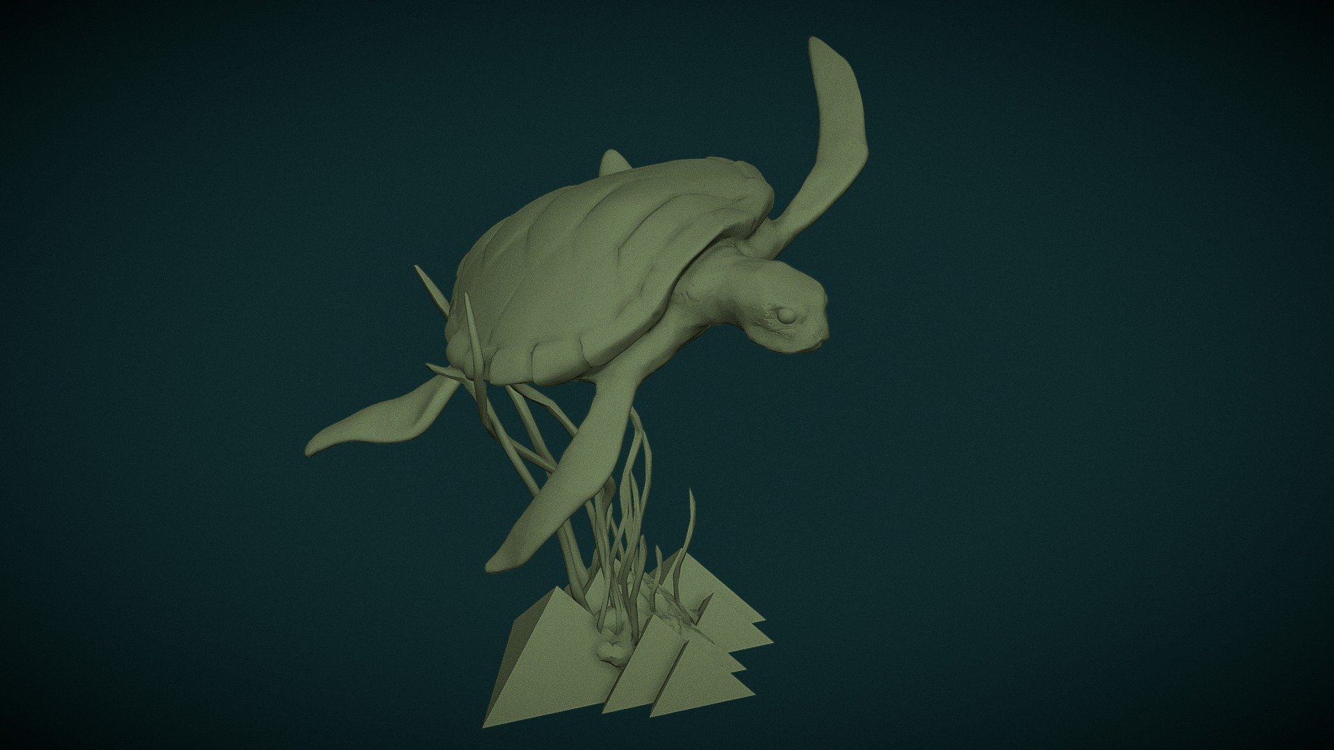 Turtle - 3D model by sashx (@sash_dog) [6f6aba5] - Sketchfab