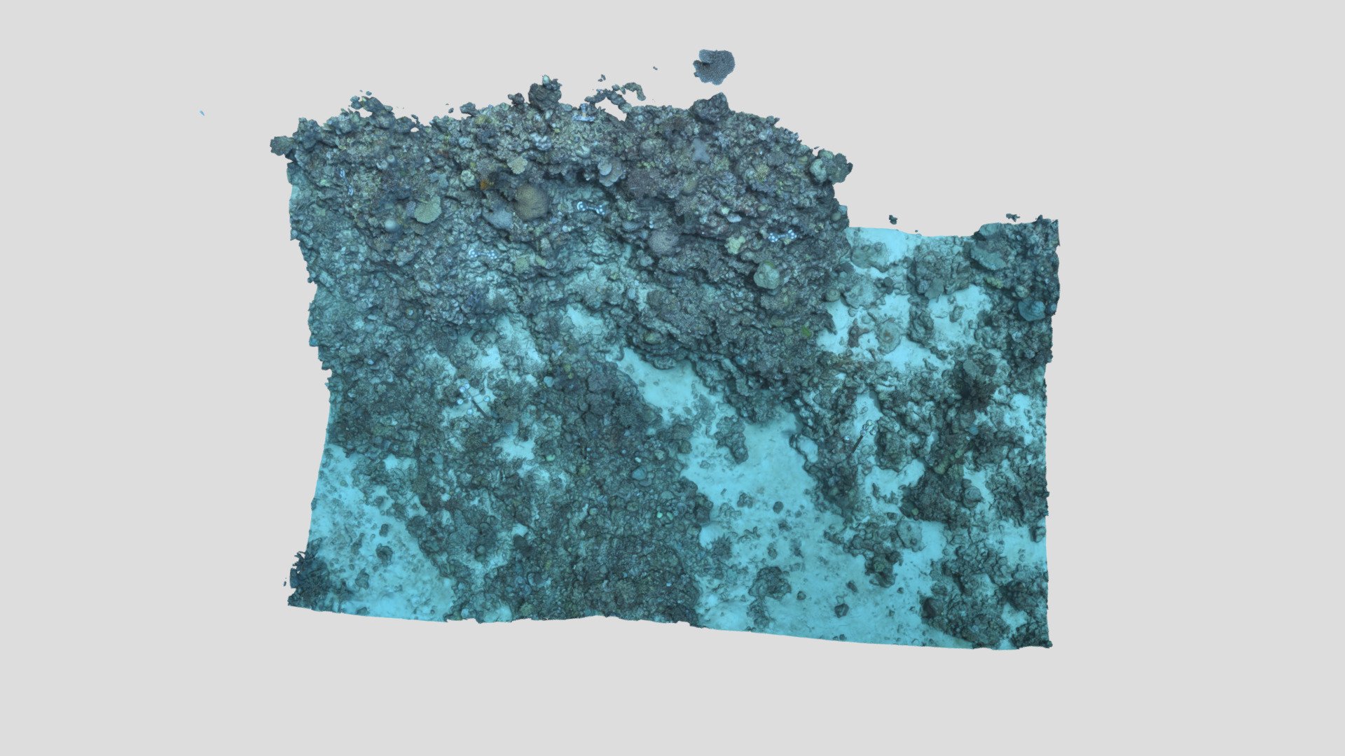 Davies_FL1D_P1_202301 - 3D model by EcoRRAP (@AIMSEcoRRAP) [6f6d509 ...