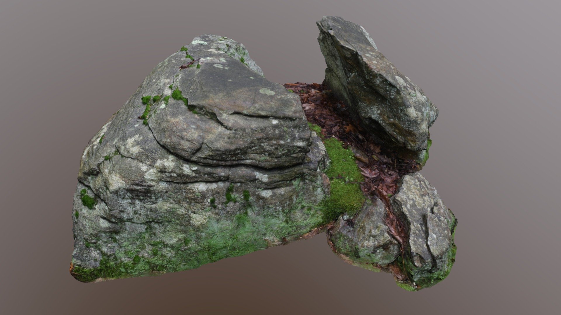 190718_pine_meadow_split_rock - Download Free 3D model by clementvalla1 ...