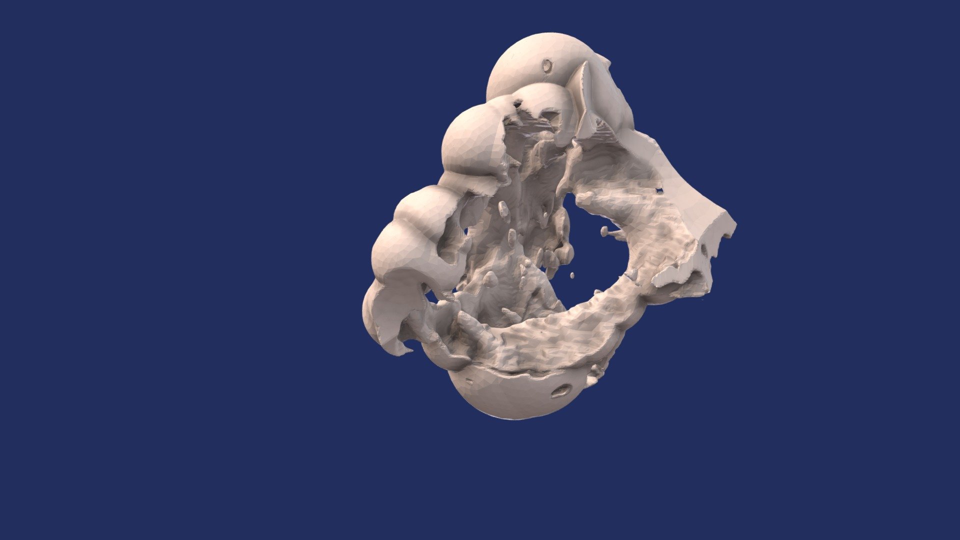 VSD_Cine - 3D model by noah.schulz [6f7d839] - Sketchfab