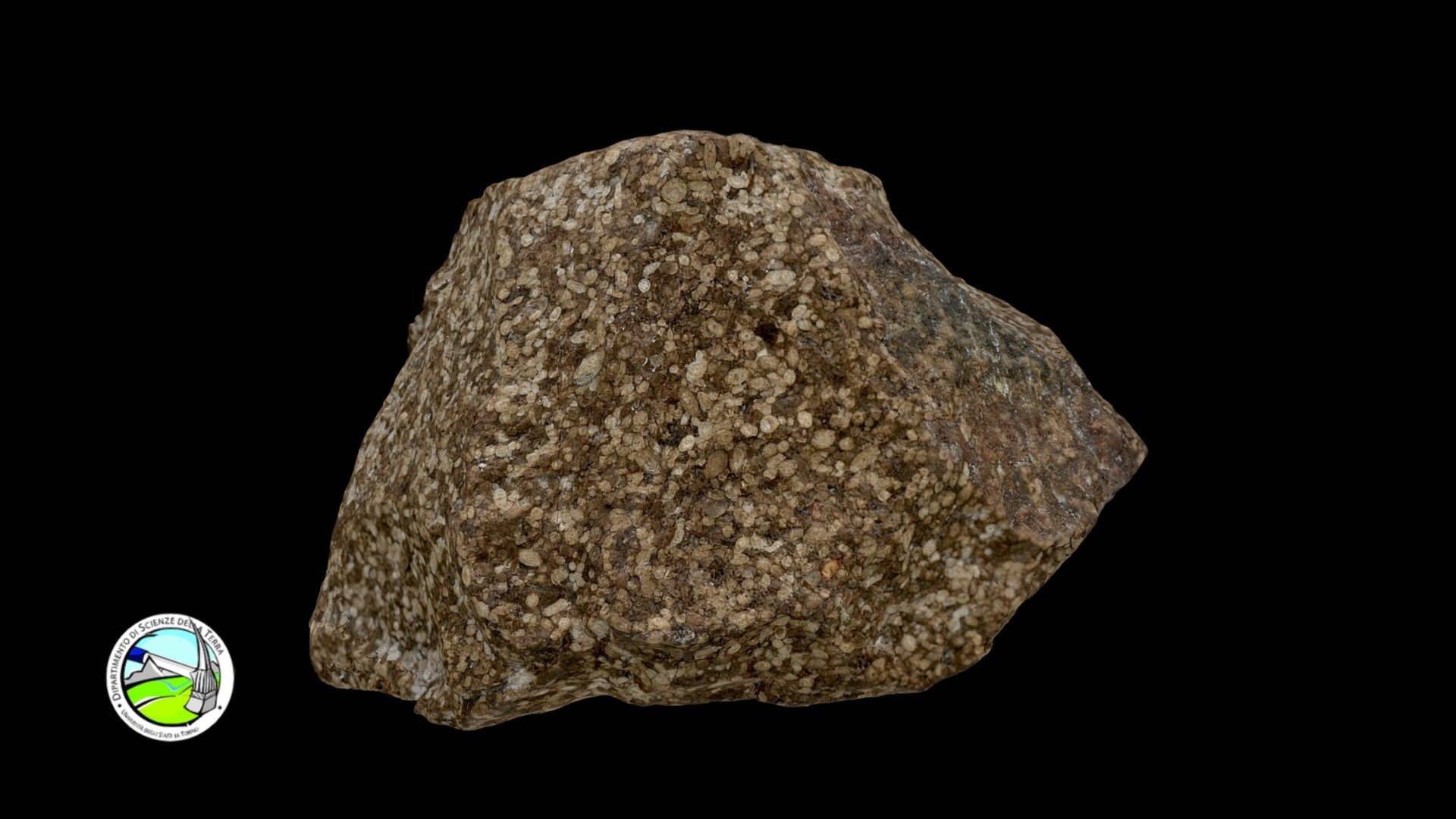 Rudstone a bioclasti - 3D model by Dipartimento di Scienze della Terra ...