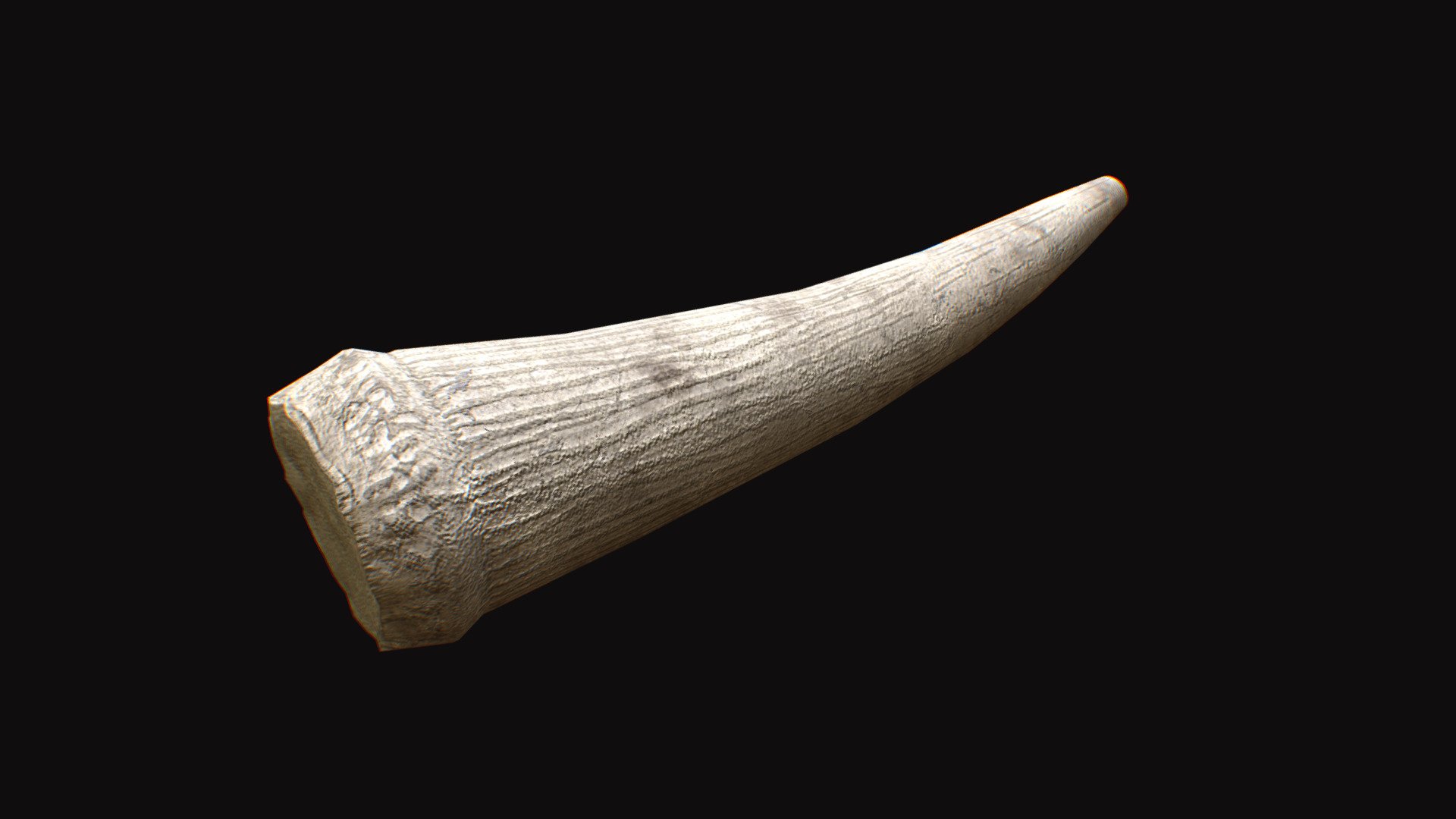 White horn (low poly) - Download Free 3D model by Mikhail Antonov ...