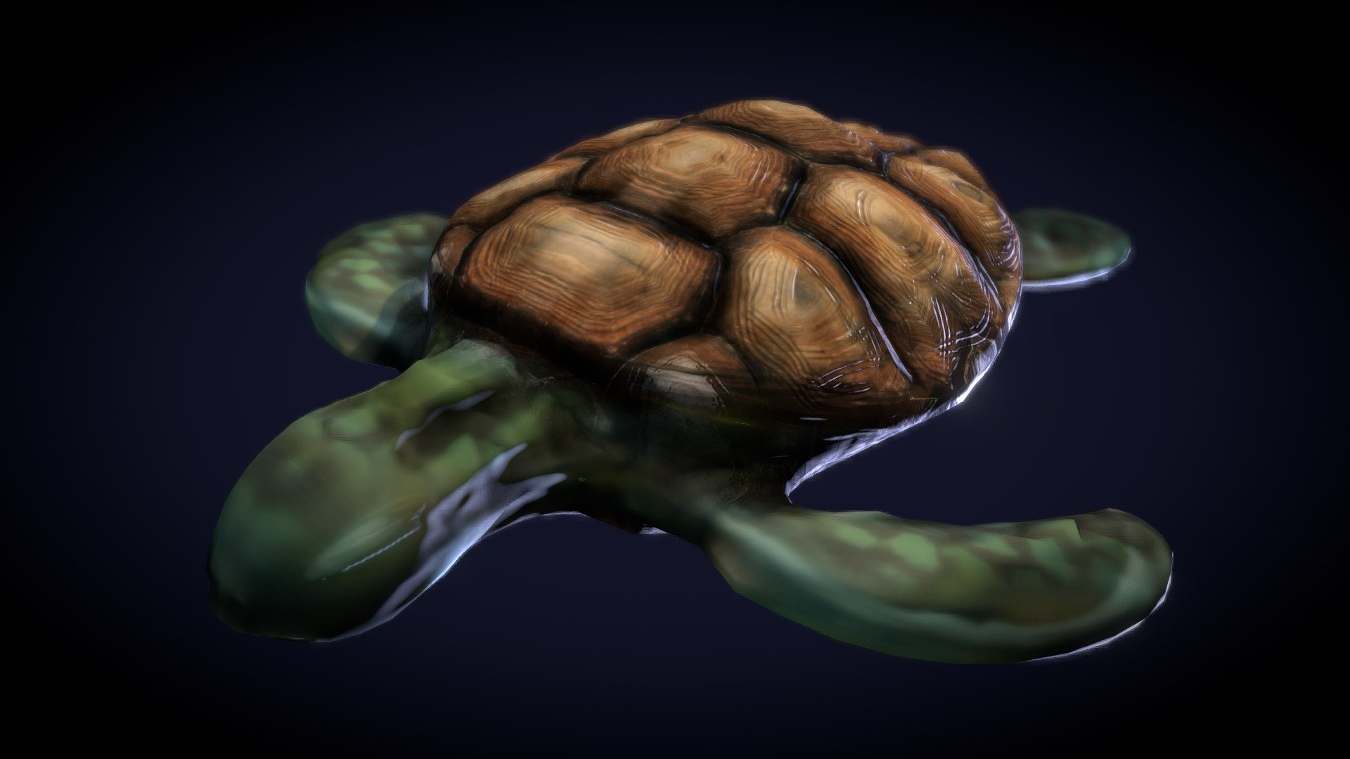Tortuga Tourtle - 3D model by daviscazar [6f8431e] - Sketchfab