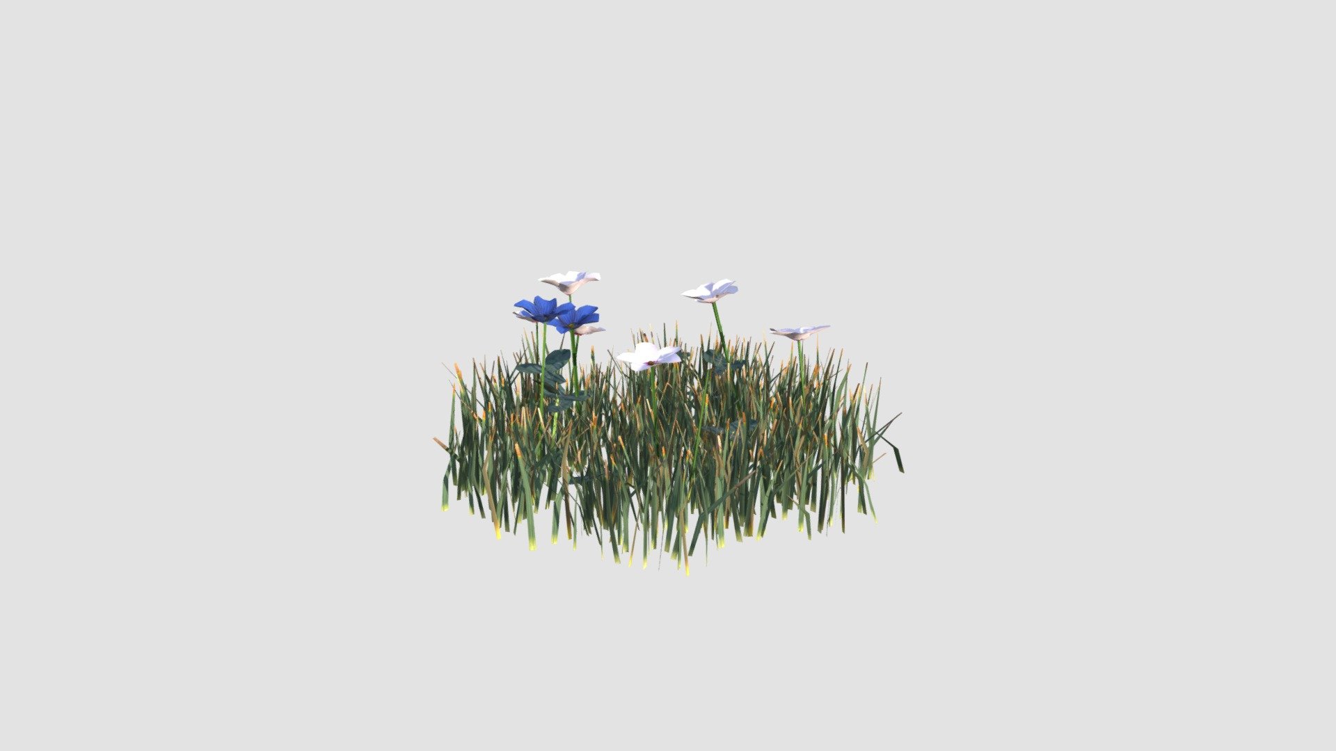 simple grass small - Buy Royalty Free 3D model by Evermotion [6f8a8ca ...