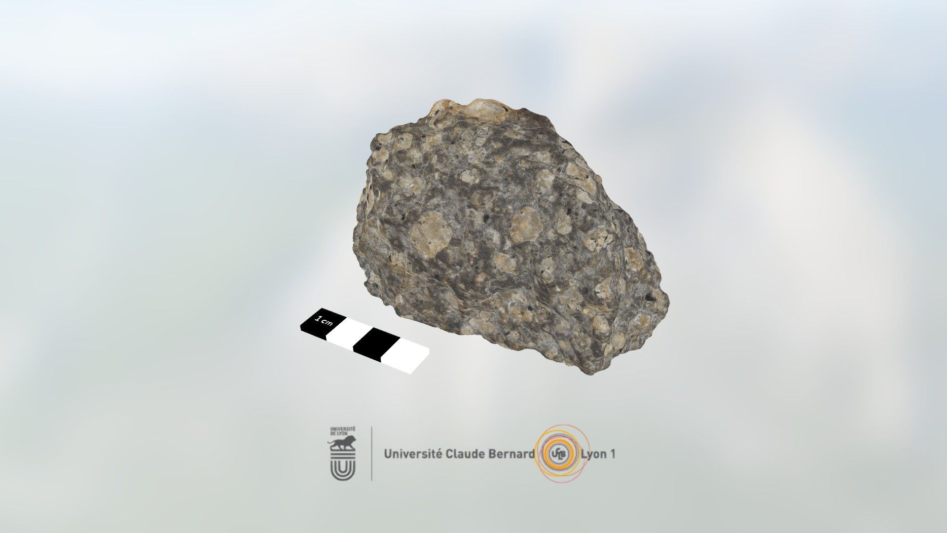 Tephrite - 3D model by OSU_Lyon1 [6f8b114] - Sketchfab