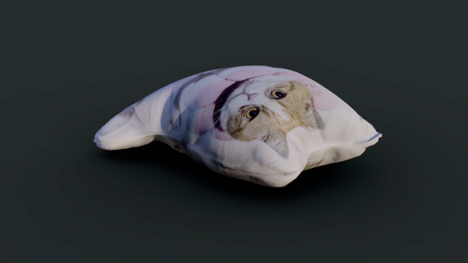 Cat Pillow - copy - Download Free 3D model by Virtua Con (@virtuaCon ...