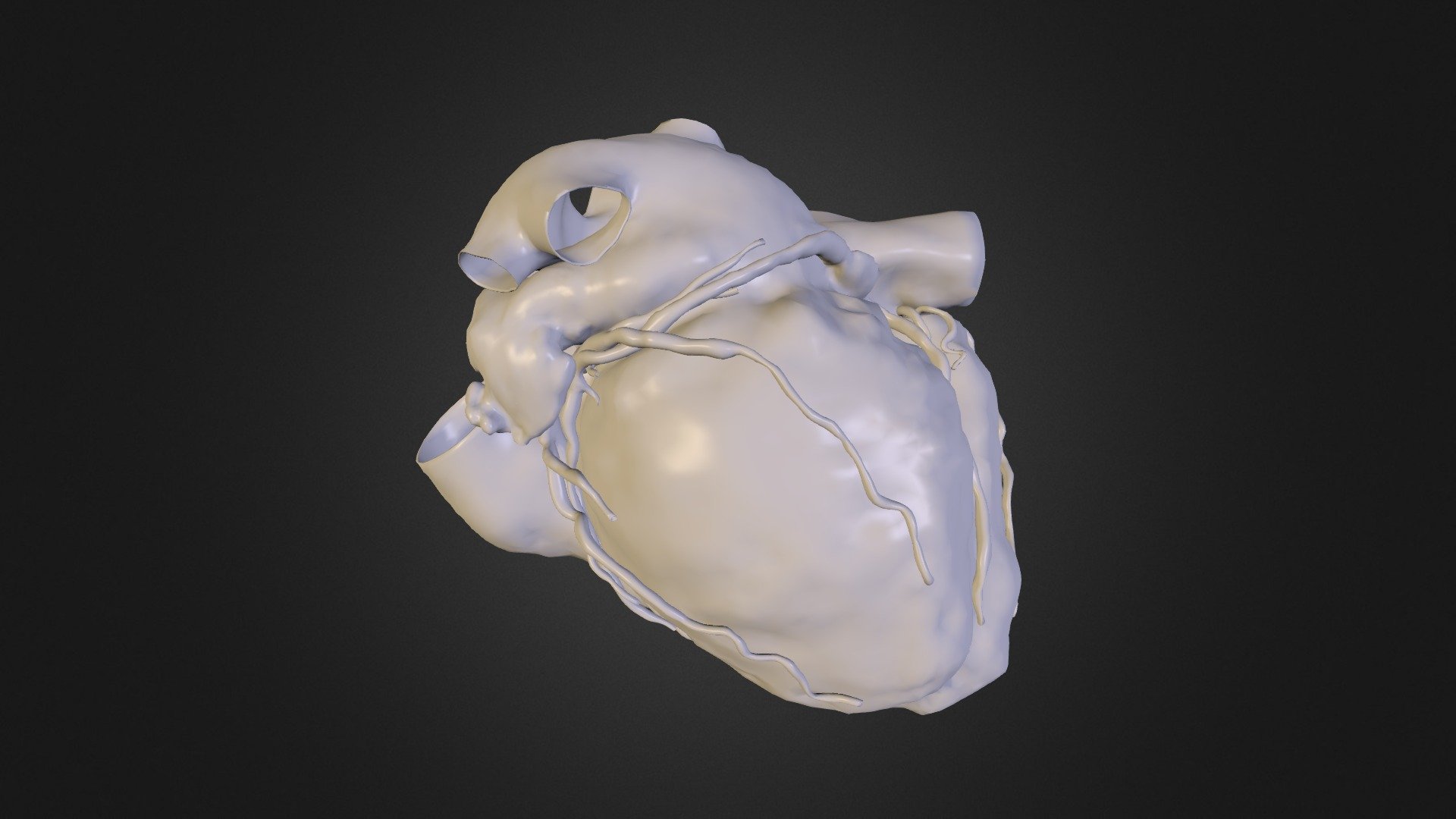 ASD - 3D model by mani.svs [6f8da85] - Sketchfab