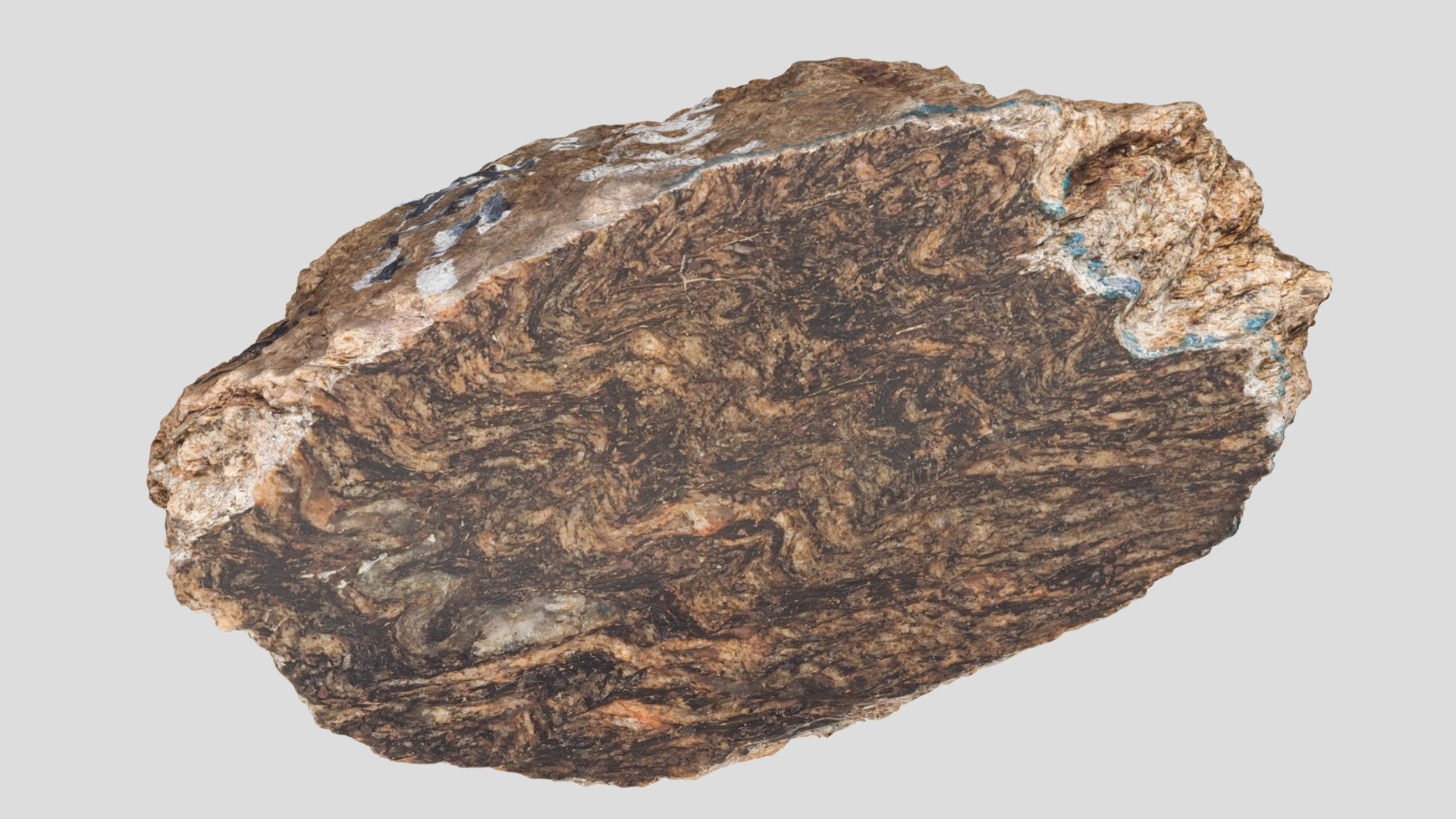 New Jena specimen No 14 - Download Free 3D model by Marko Vrabec ...