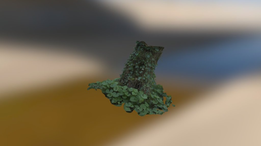 First tree scan - 3D model by Arieldpfx [6fae410] - Sketchfab