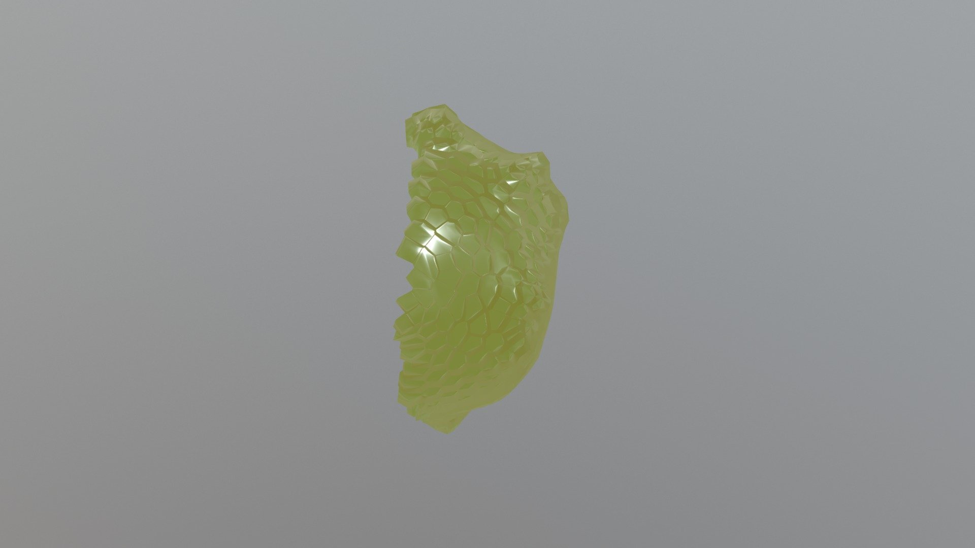 Half Organo Apical surface - 3D model by glyg [6fb108a] - Sketchfab