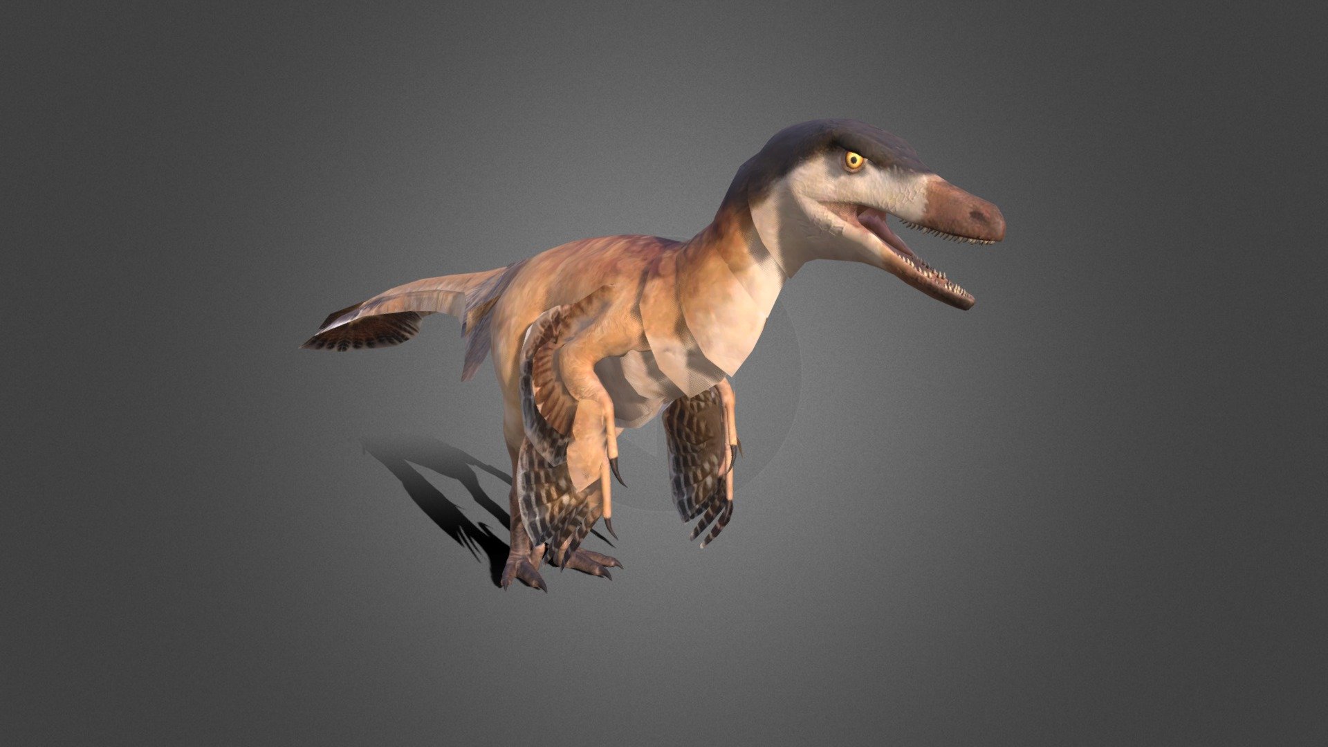 Velociraptor Mongoliensis - Download Free 3D model by Gigan_FK ...