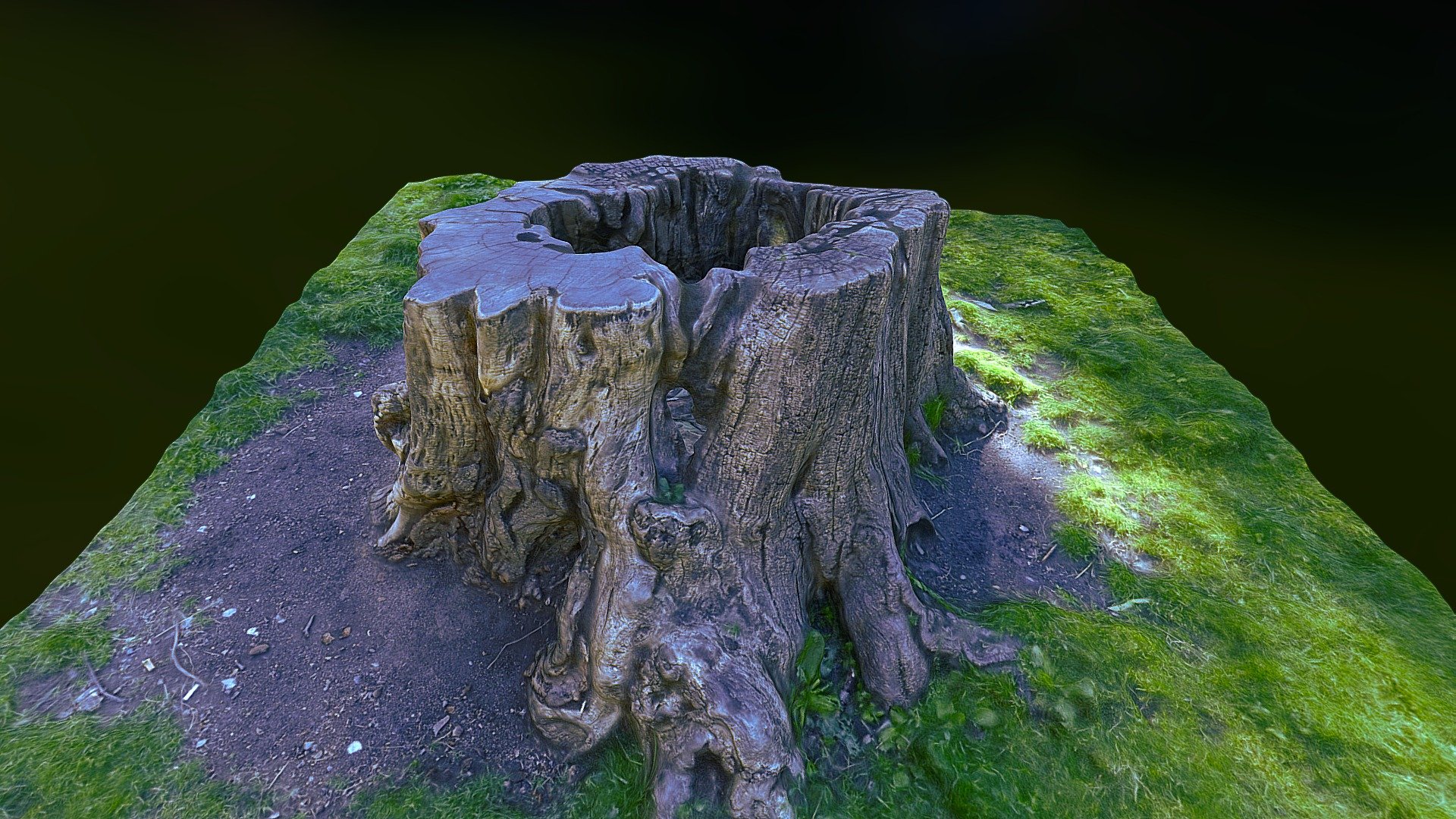 David Parez 01 - 3D model by Barbucha Studio (@lukinec) [6fc5a2e ...