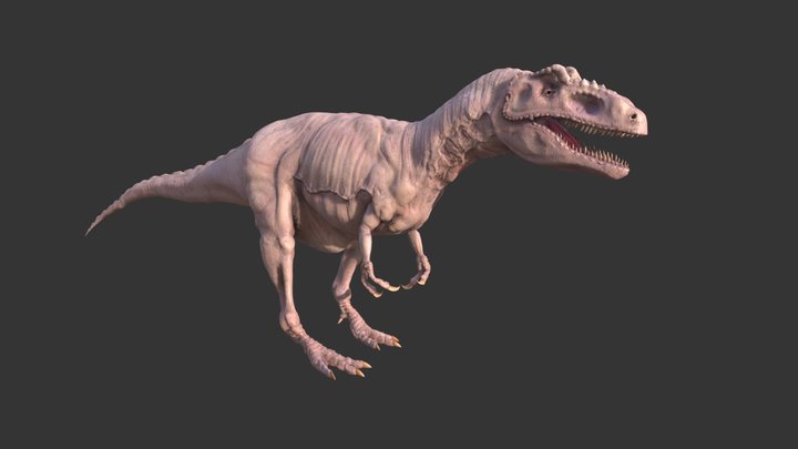 Albertosaurus 3D models - Sketchfab