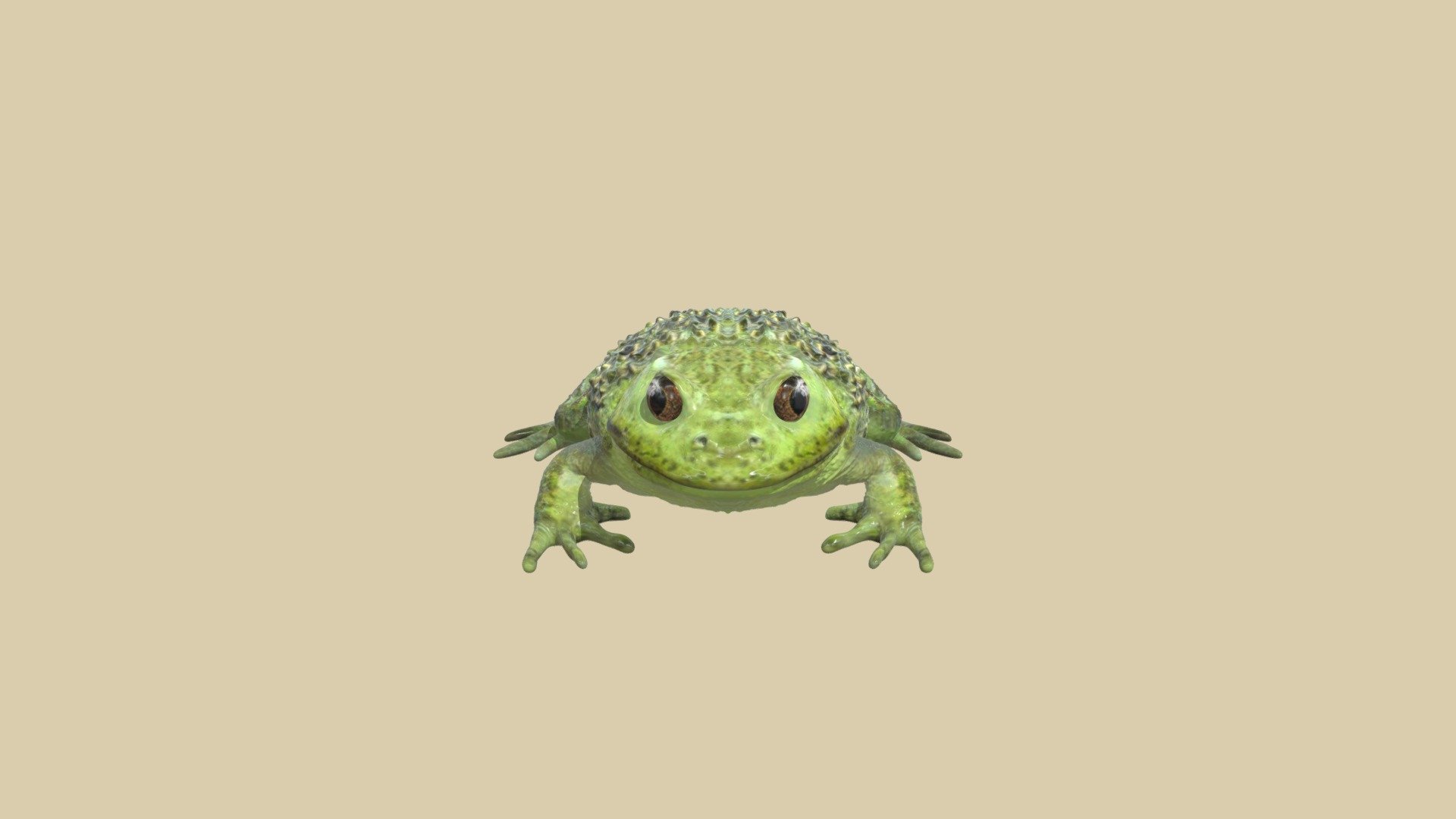 Rana - 3D model by federica.teodori [6fce633] - Sketchfab