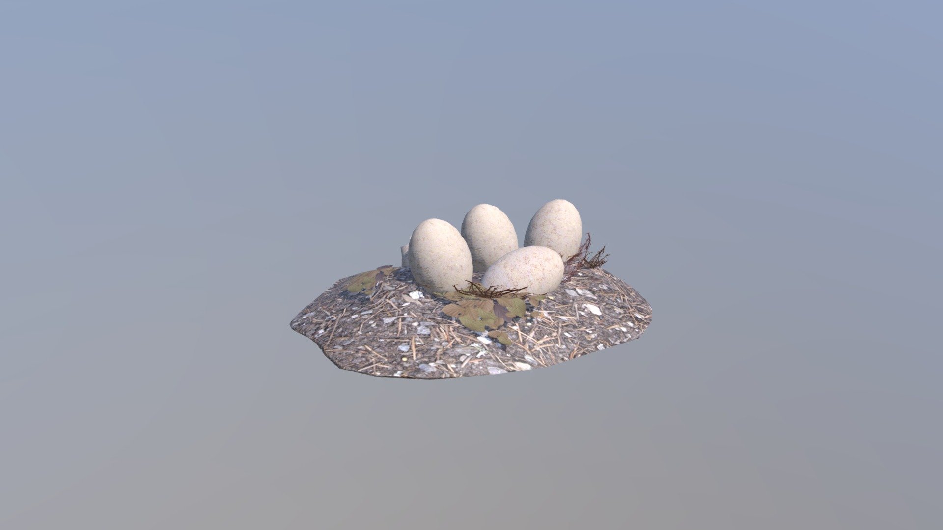 Nest - 3D model by rmasakorala [6fce6a6] - Sketchfab