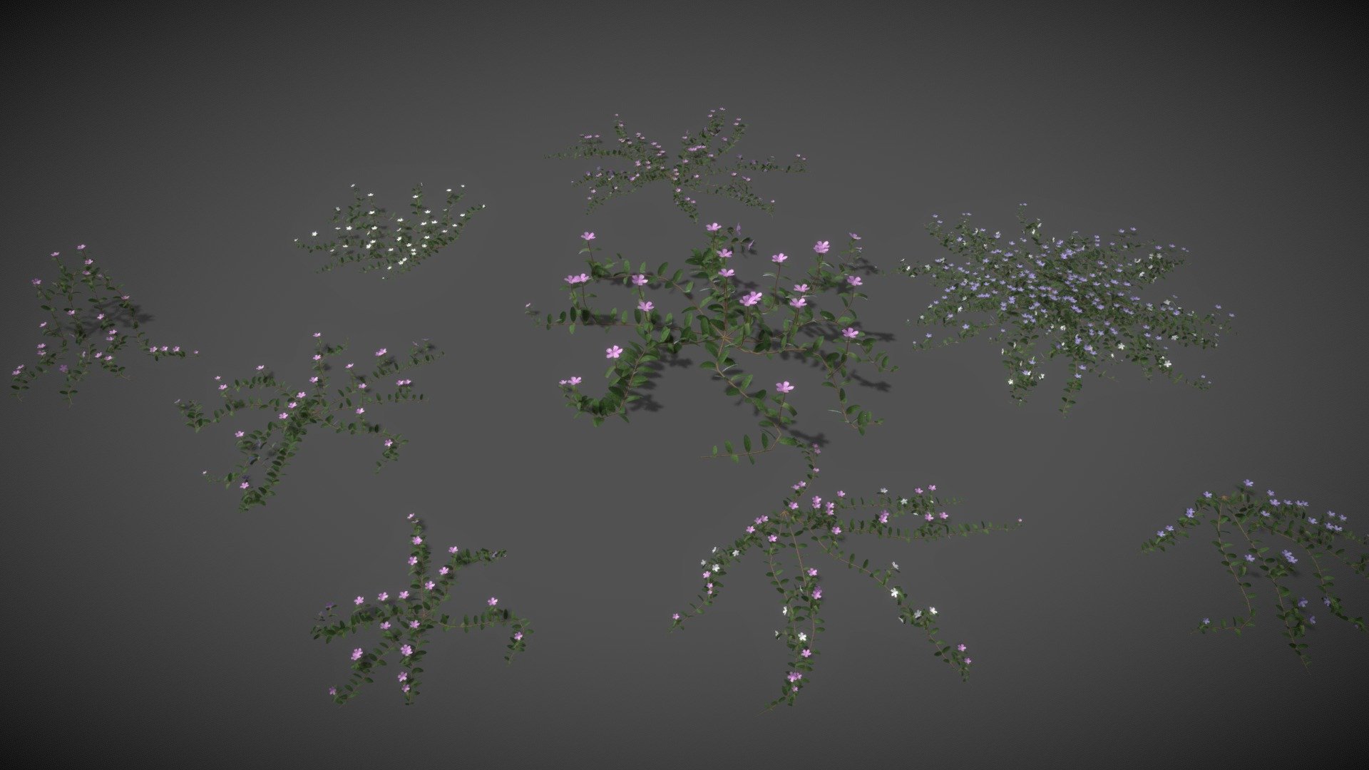 LS20 Vinca Minor (Lesser Periwinkle) - Buy Royalty Free 3D model by ...