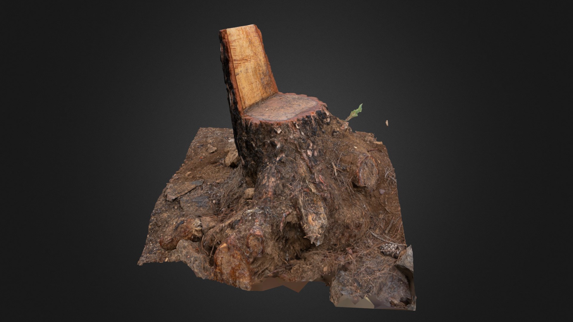 Wooden seat - 3D model by Scans Planet (@ScansPlanet) [6fd26c8] - Sketchfab