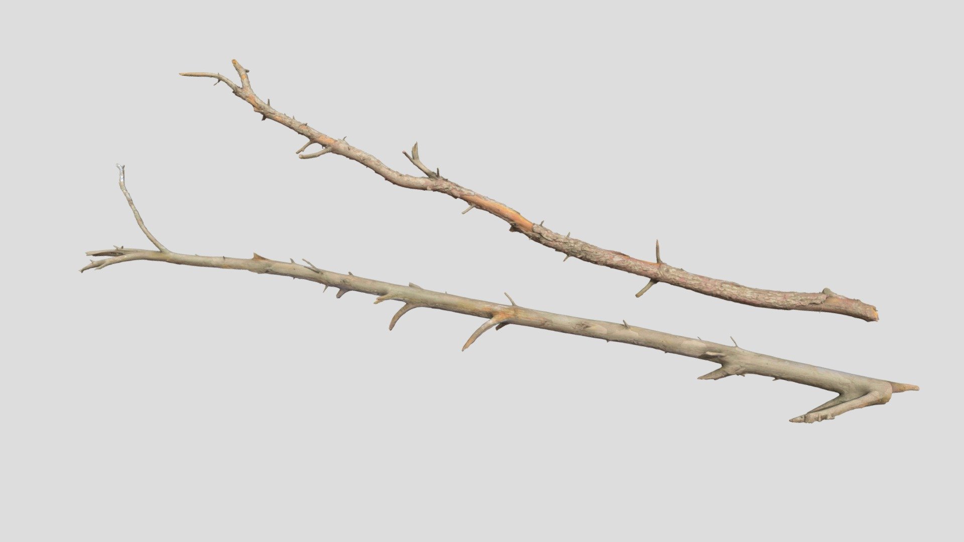 PBR Pine Fallen tree Branch dead Photoscan - 3D model by Pers Scans ...