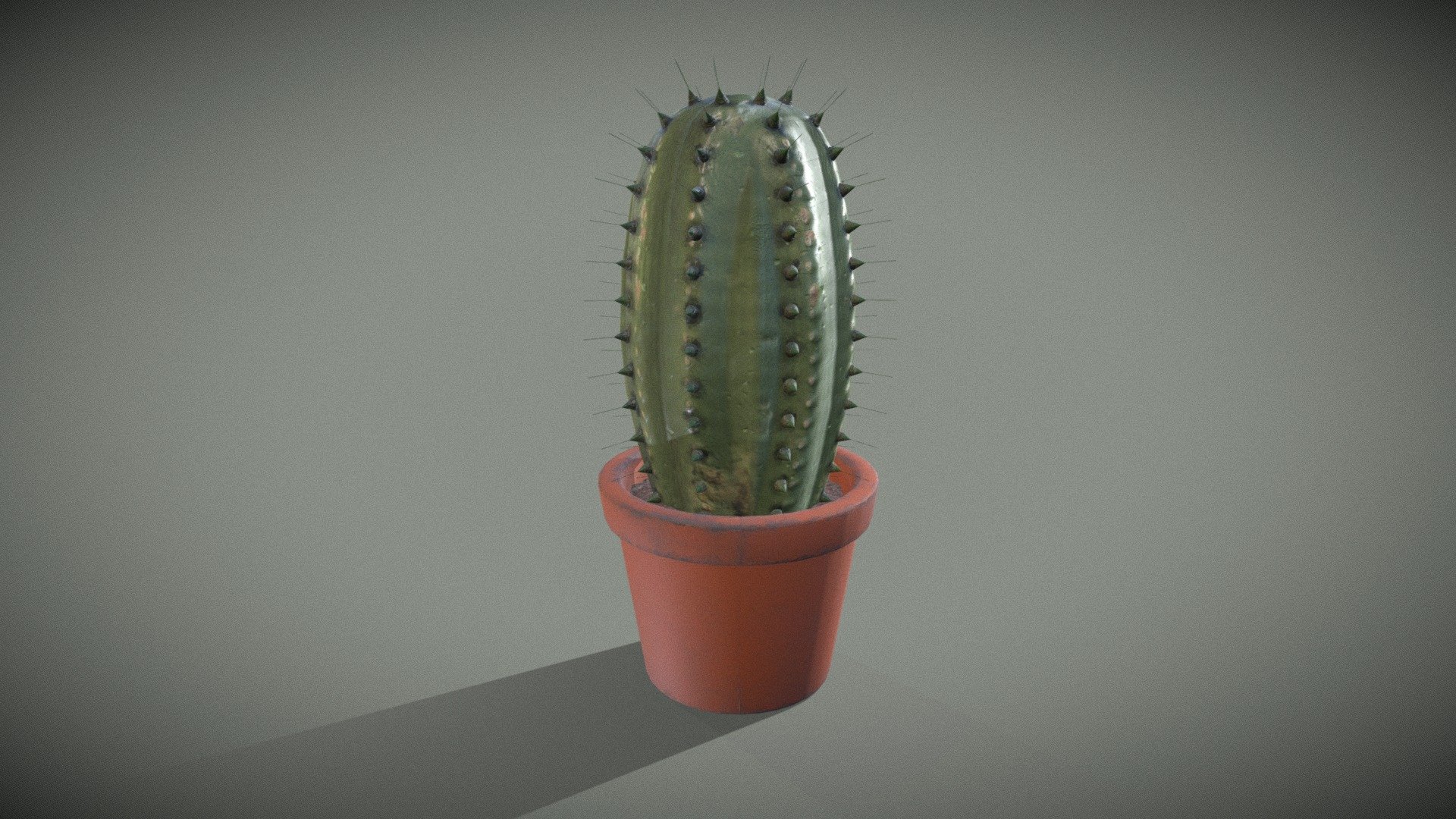 Cactus in a pot - Buy Royalty Free 3D model by Sousinho [6fda341 ...