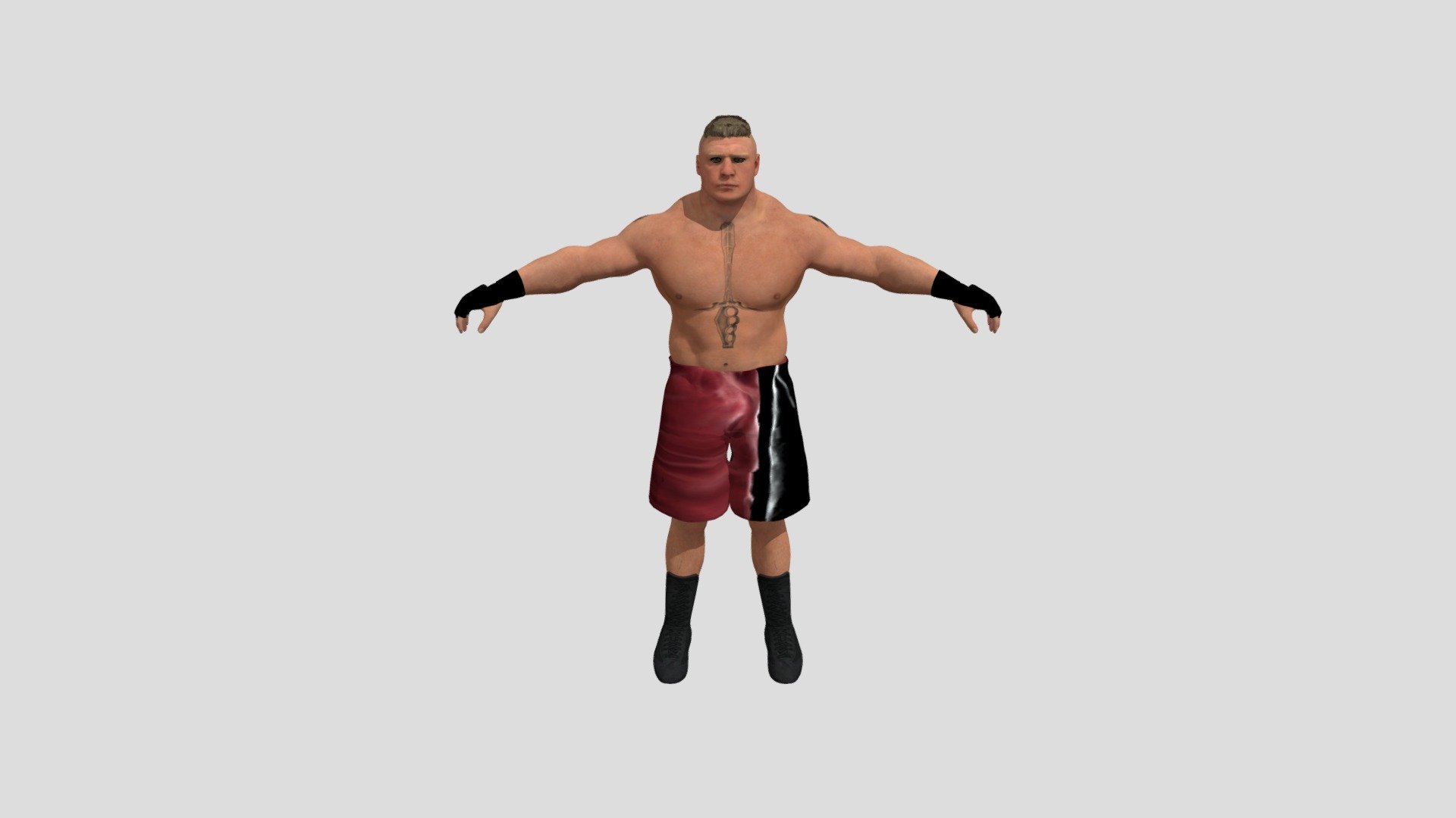 wwe 13 boock lern - Download Free 3D model by dallas.wilkerson [6fe4cac ...