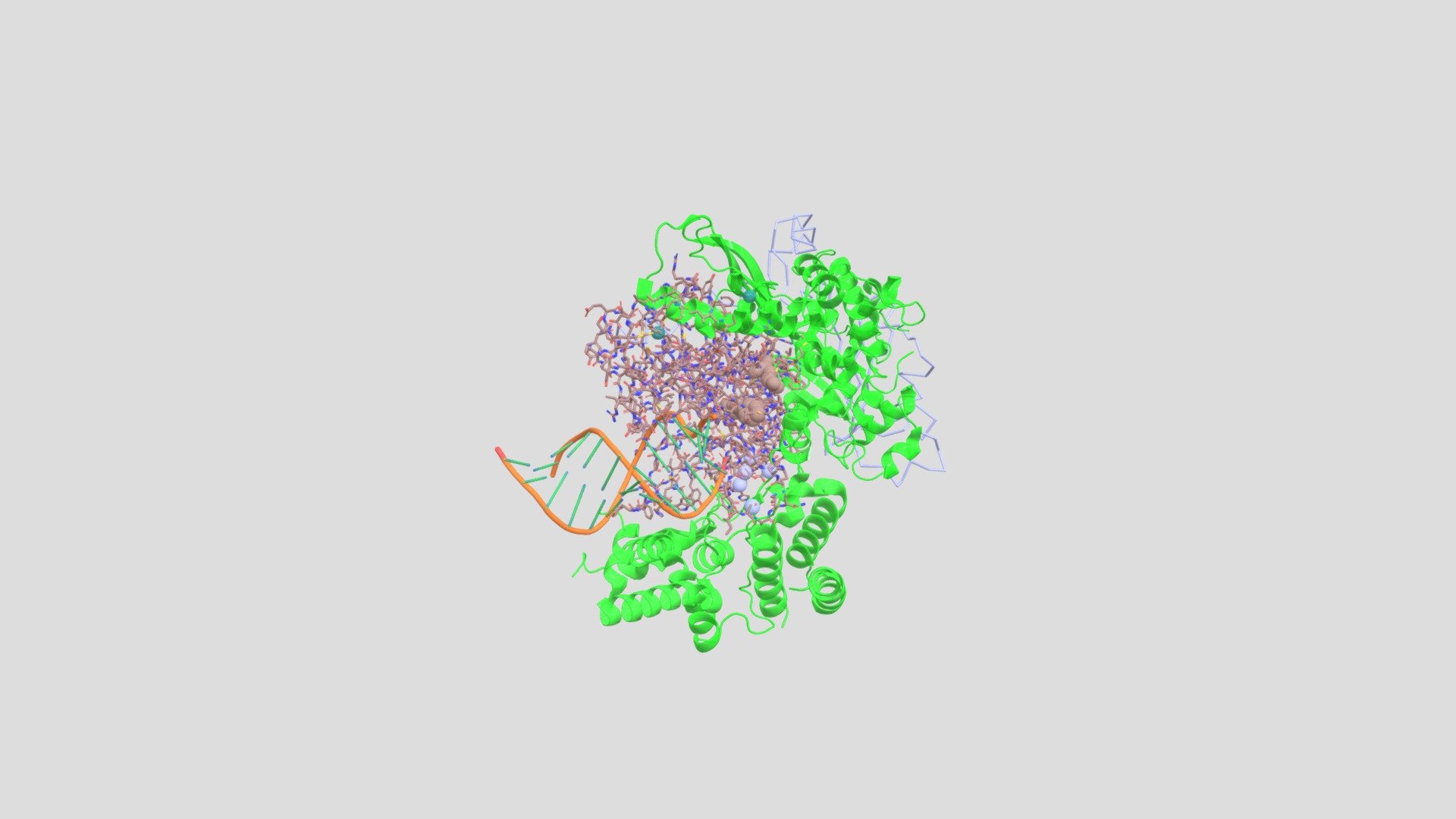 my PyMol - 3D model by Bailey_Lauren97 [6fe58dd] - Sketchfab