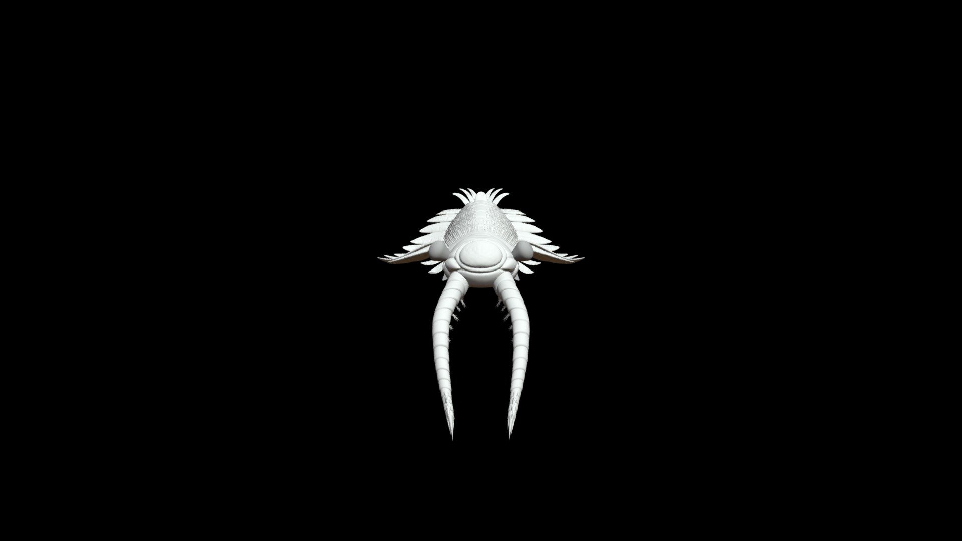 Anomalocaris canadensis ver.1 - 3D model by KINO (@KINOLab.st) [6fe69e9 ...