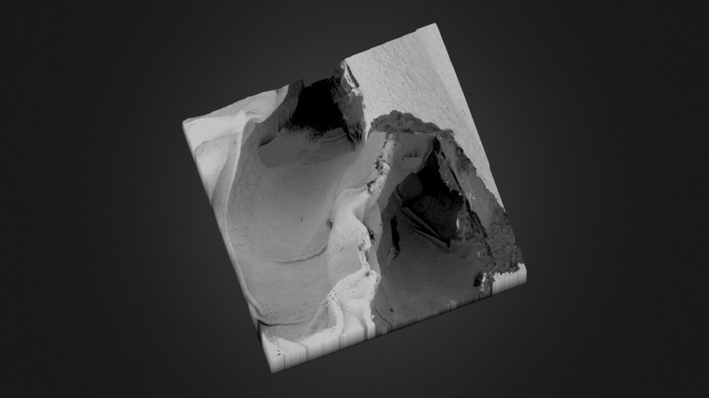 3D SEM scan of a poppy seed - Download Free 3D model by lookingglass ...