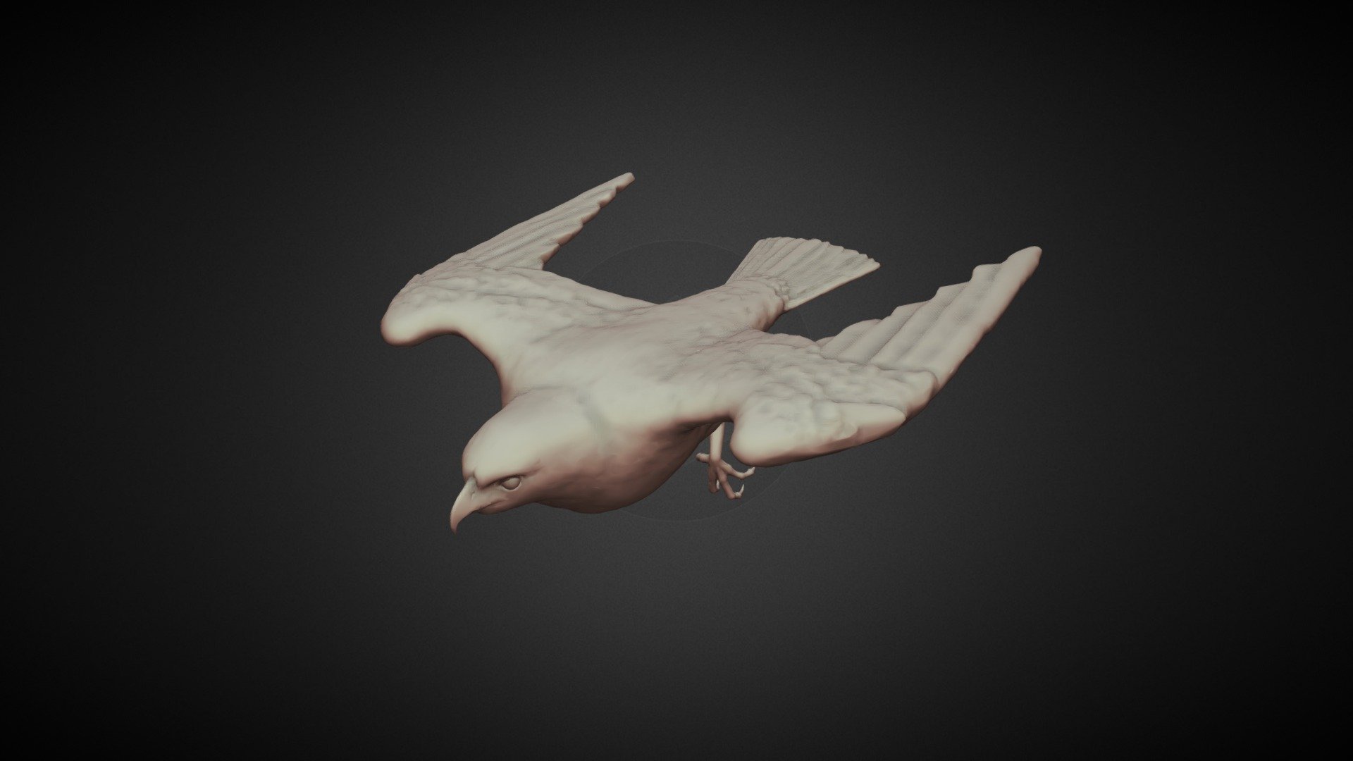 Falcon - Download Free 3D model by Morphin (@morphinometr) [6ff00ac ...