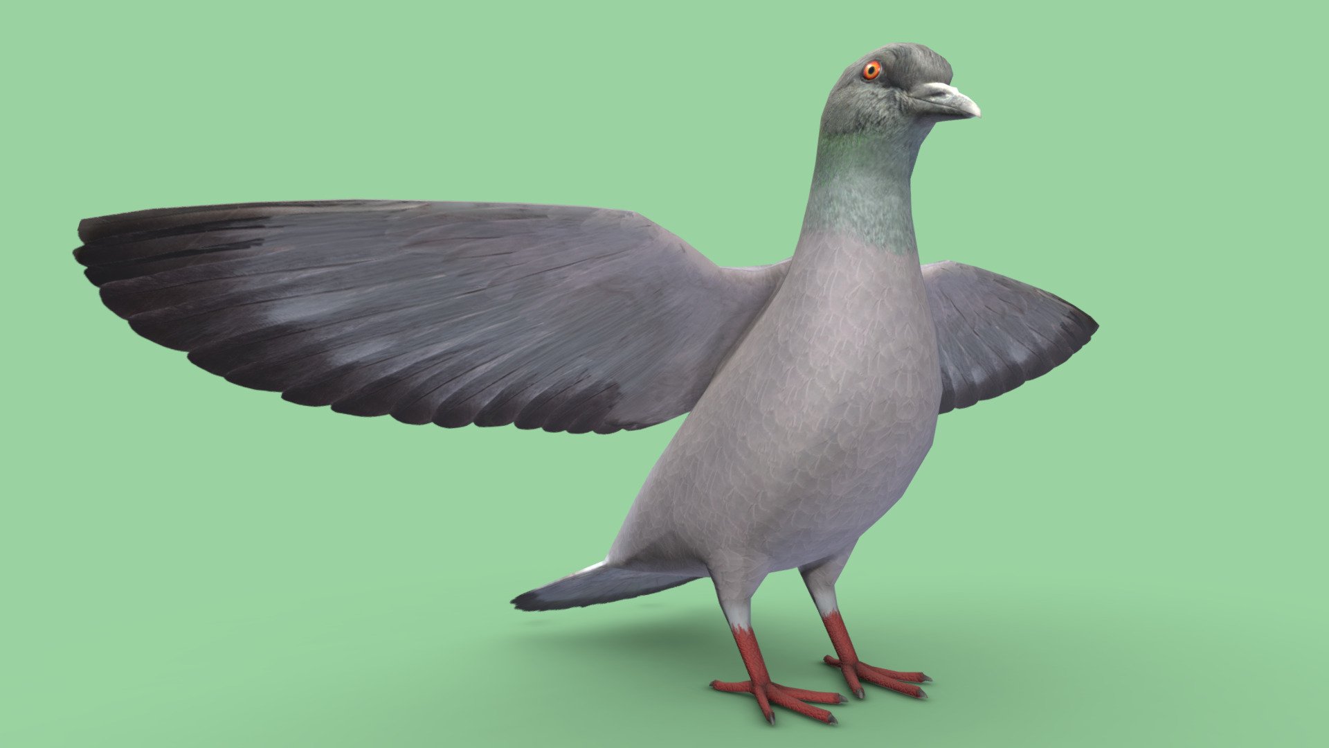 Pigeon - 3D model by Gurkha [6ff0eb4] - Sketchfab
