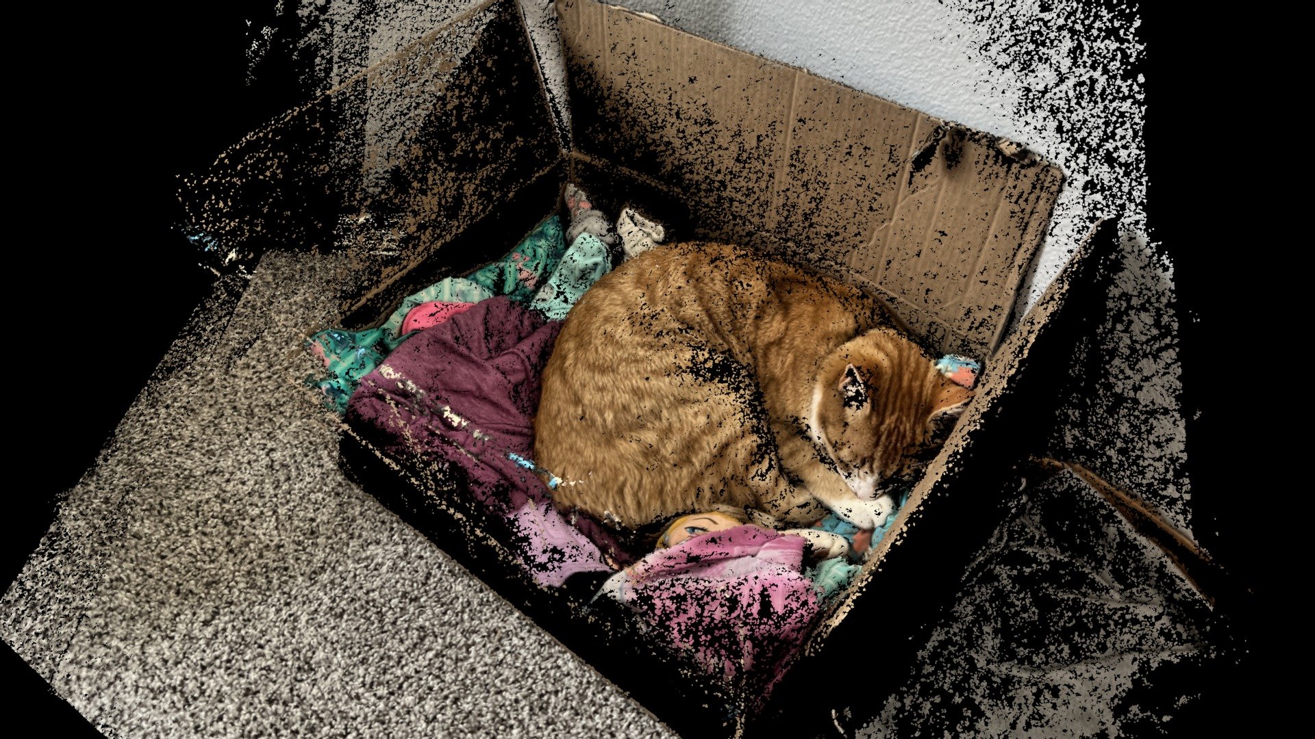 Cat In Box - 3D model by EveryPoint [6ff1d81] - Sketchfab