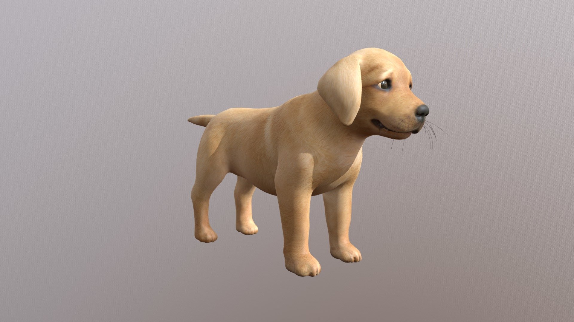 Retriever - Download Free 3D model by FainoDS (@doinspire) [6ff3ec8 ...